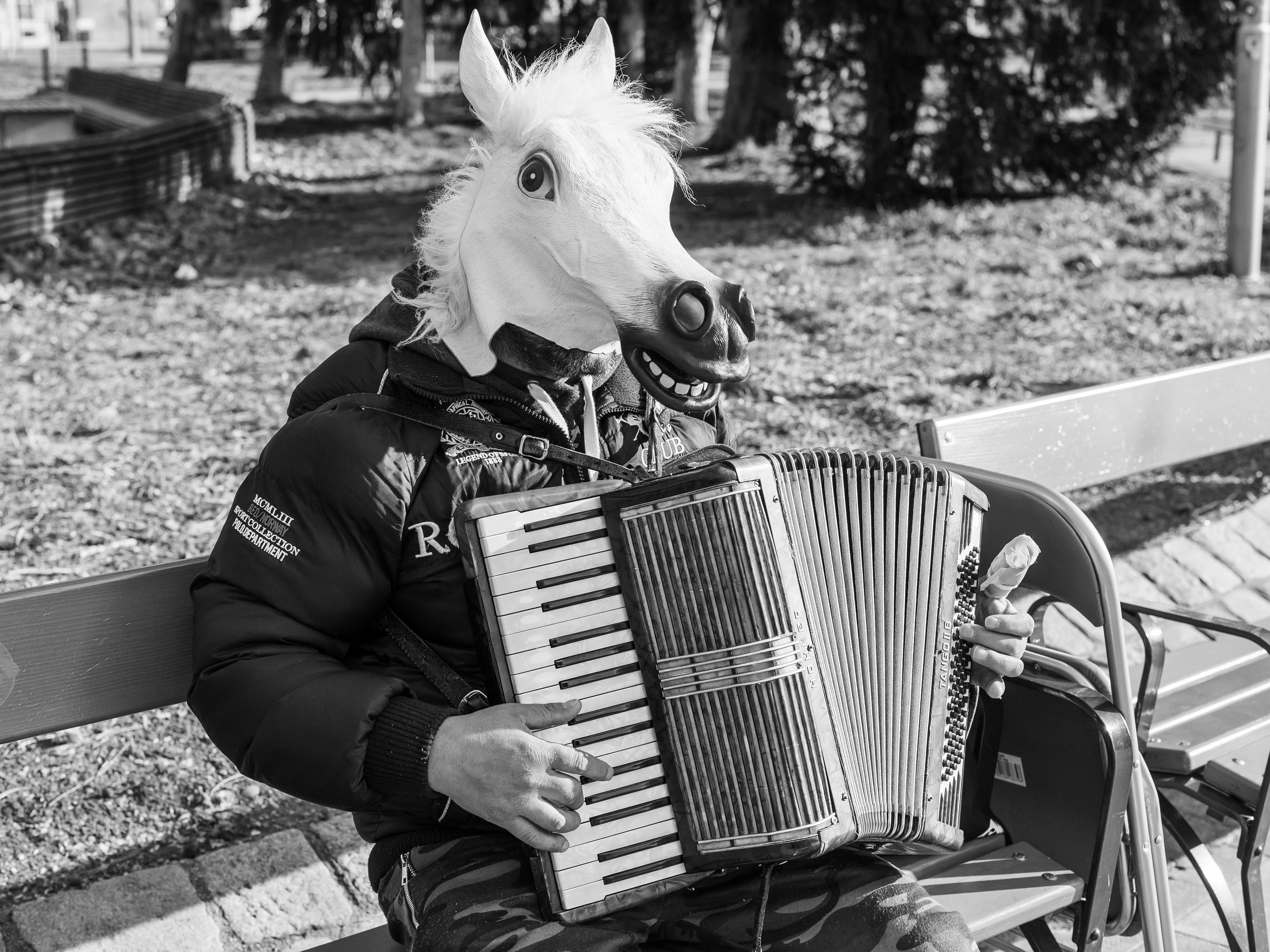 Musician wearing a horse mask plays an accordion while seated on a park bench, surrounded by nature in black and white.