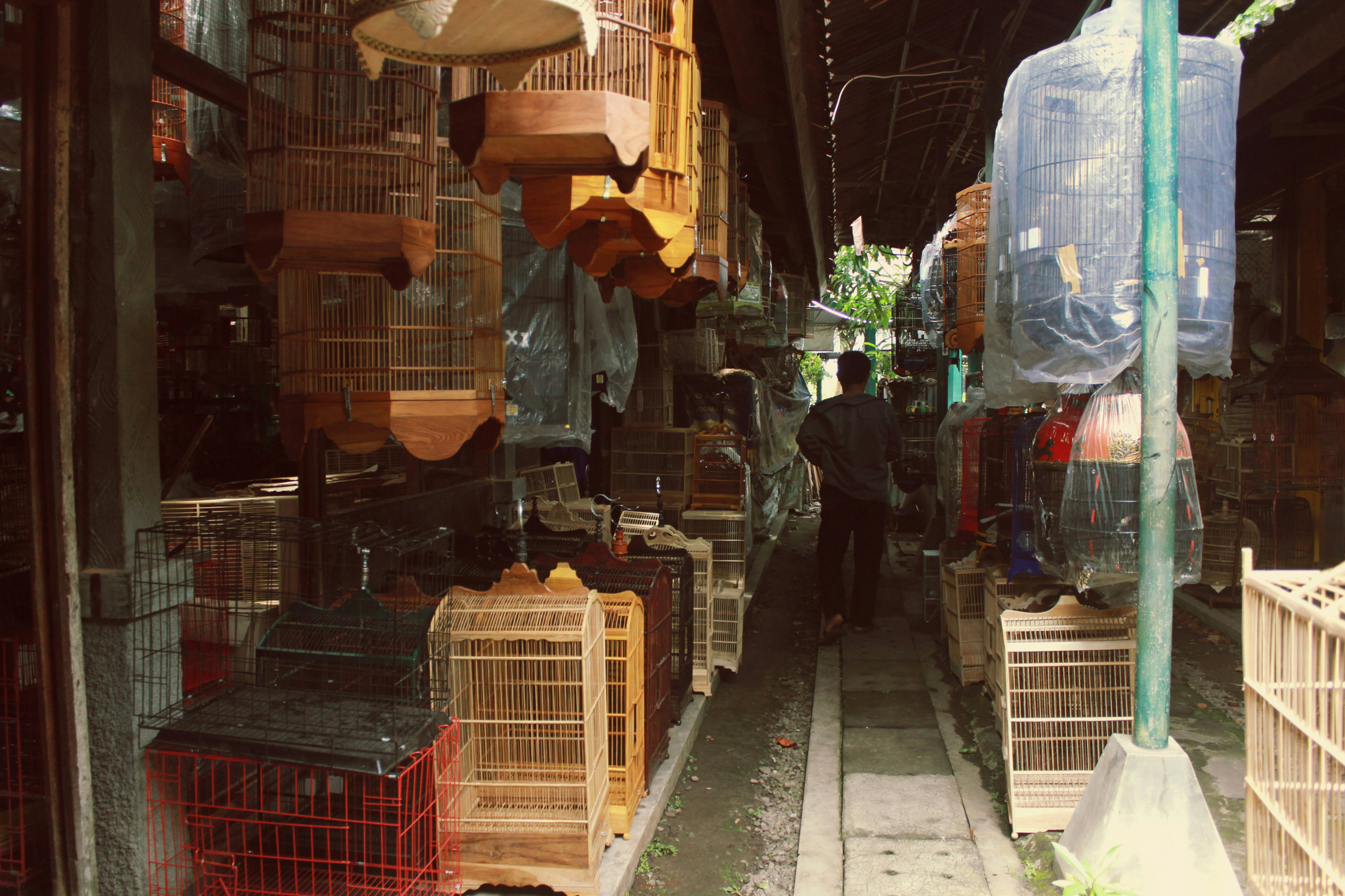 Narrow alley lined with colorful birdcages under a shaded canopy, showcasing a variety of styles and sizes. A person walks through, exploring the vibrant market atmosphere.