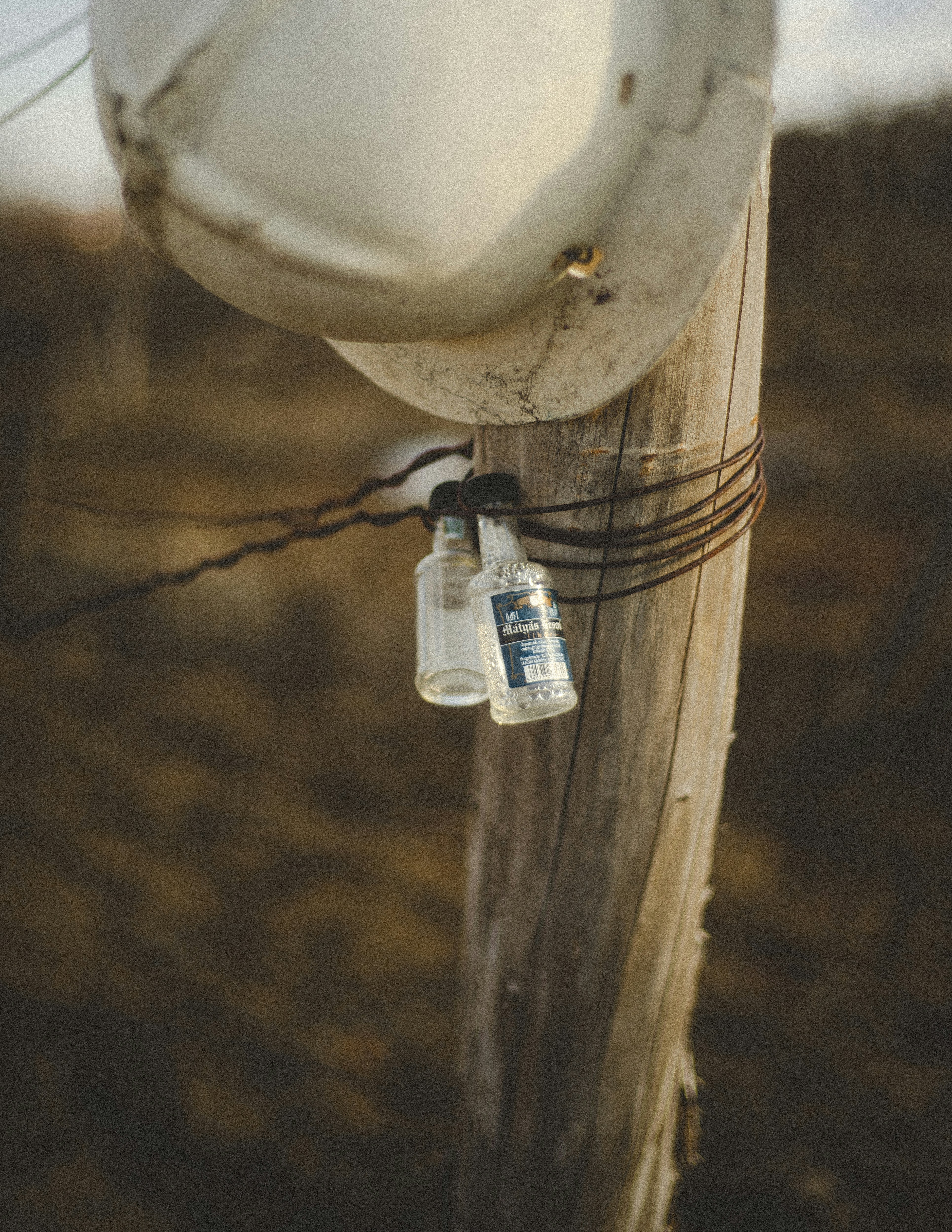 Tiny Glass Lantern Clinging to a Weathered Post