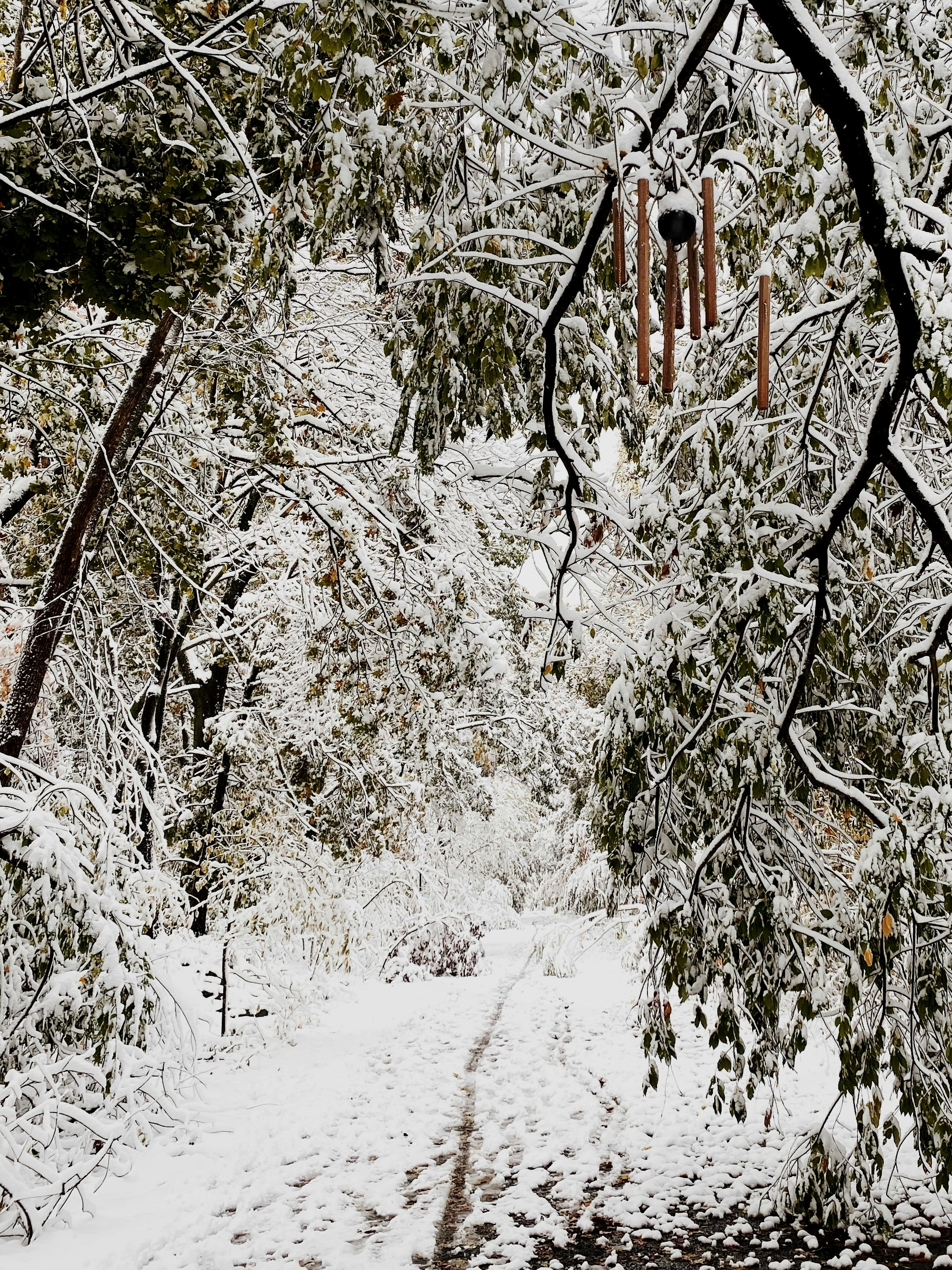 Nathan Duarte (@nathanduarte_) | Unsplash Photo Community