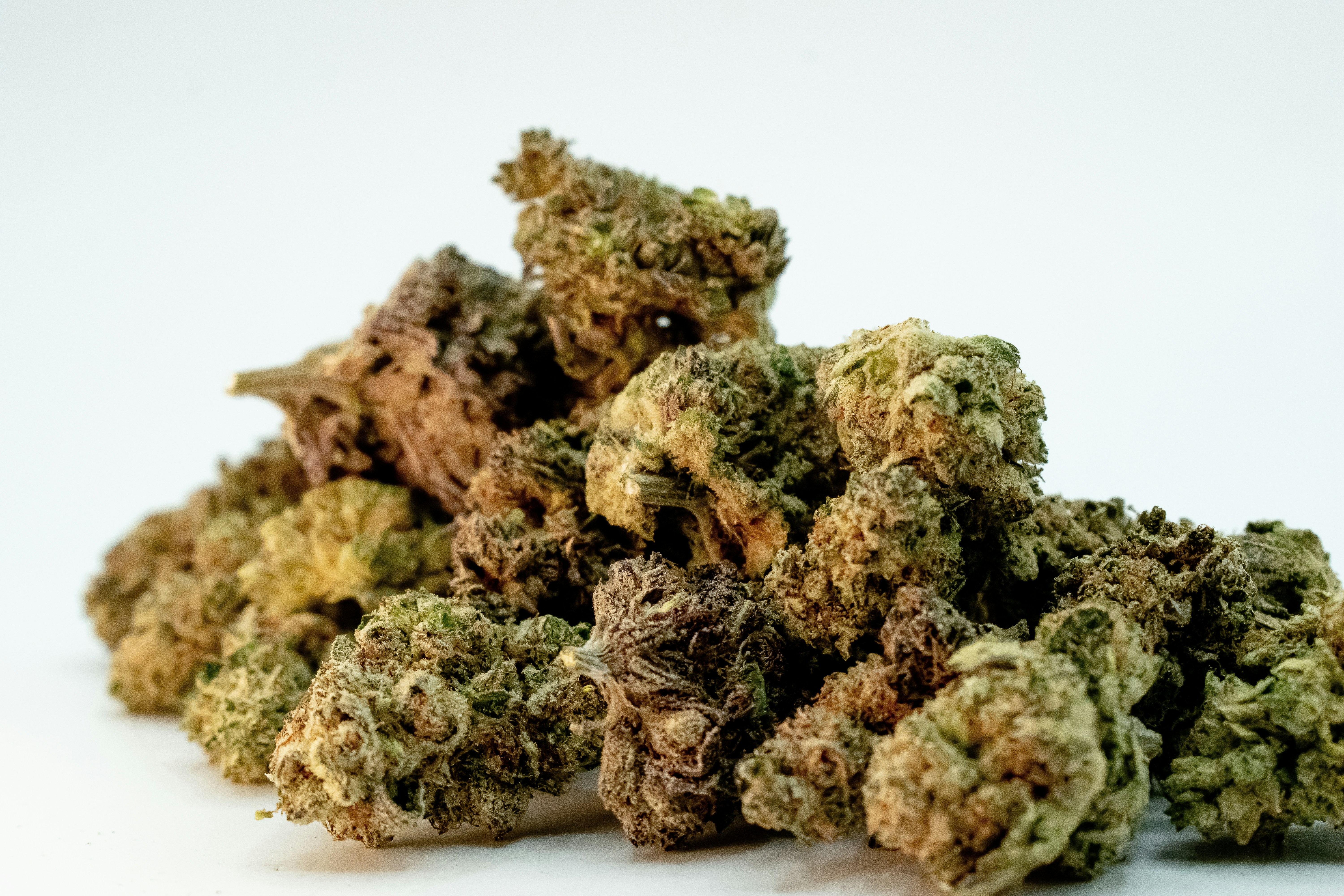 270+ Cannabis Pictures | Download Free Images on Unsplash