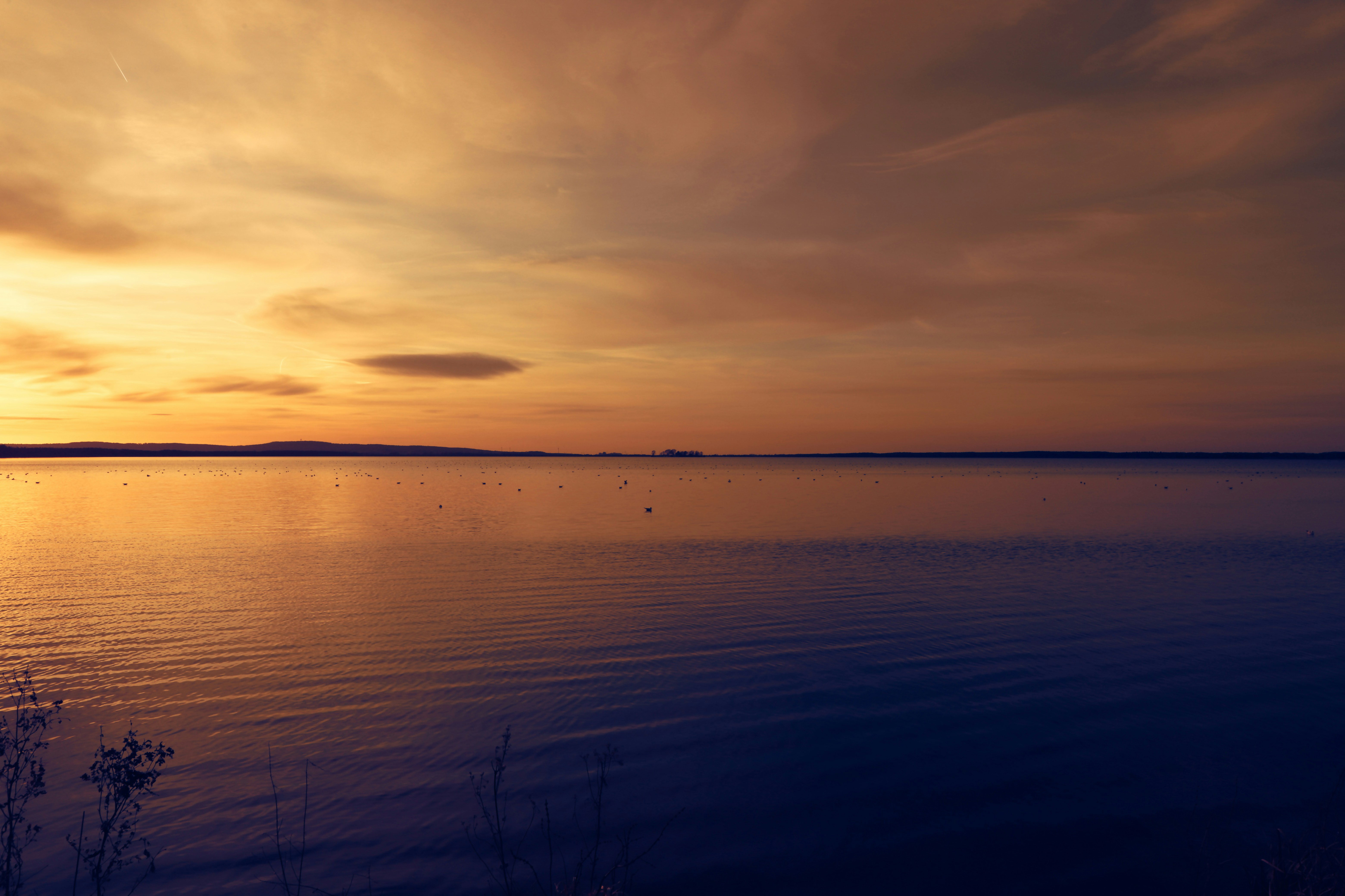 Offenes Meer Photos | Télécharger des images gratuites sur Unsplash