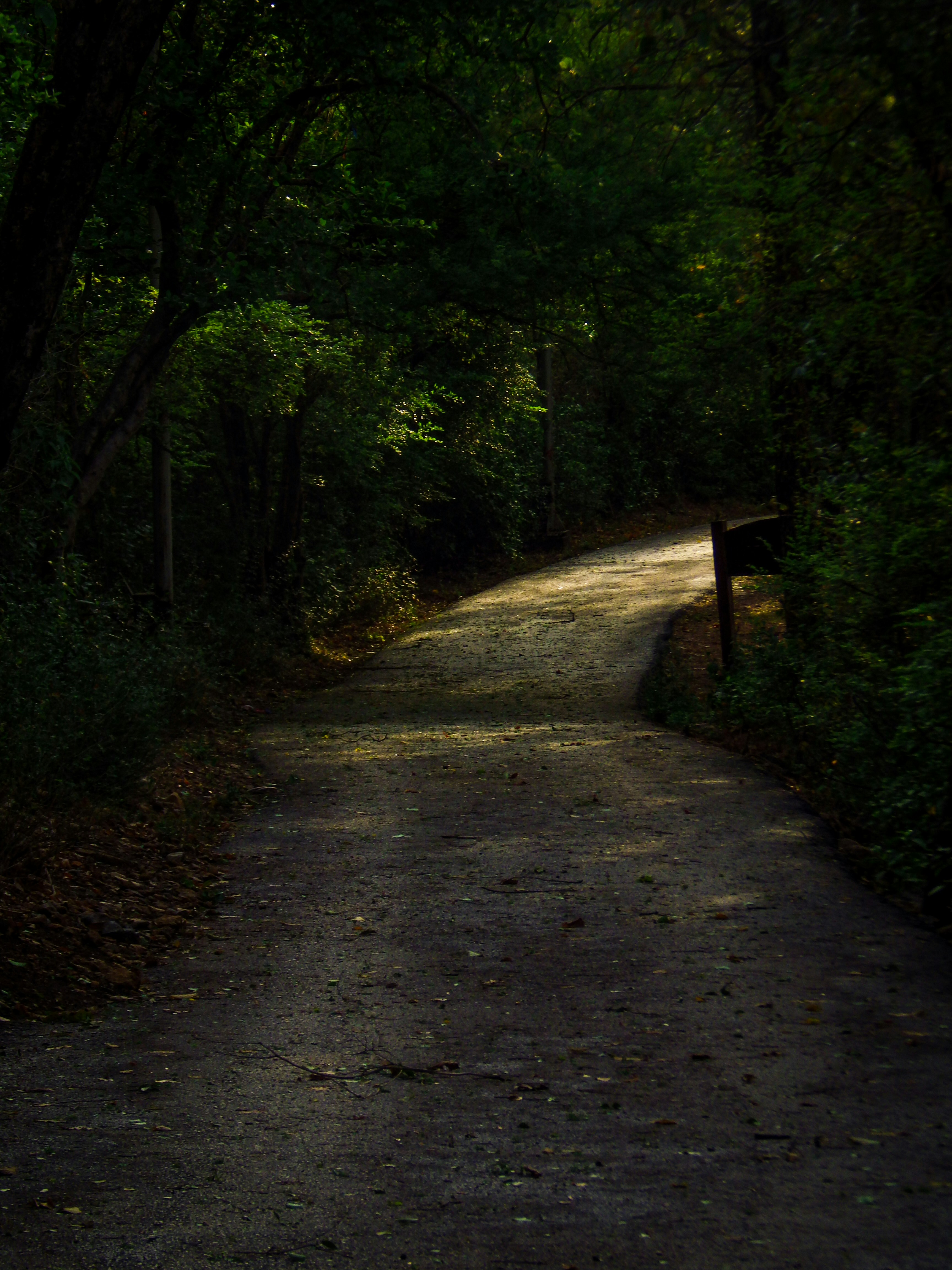A path in the middle of a wooded area photo – Free Pakistan Image on ...