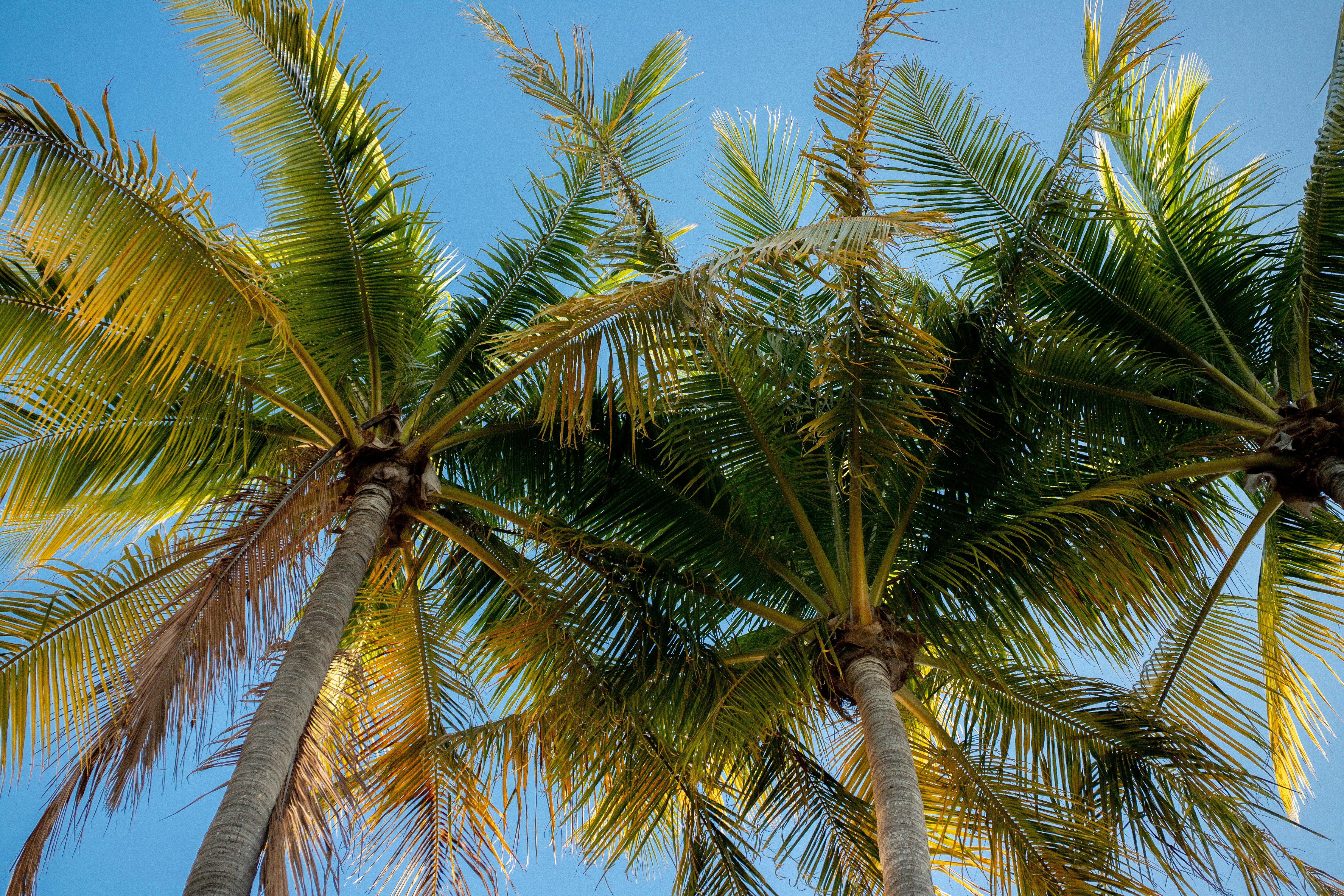 Tyler Devine (@tylerdevine) | Unsplashフォトコミュニティ