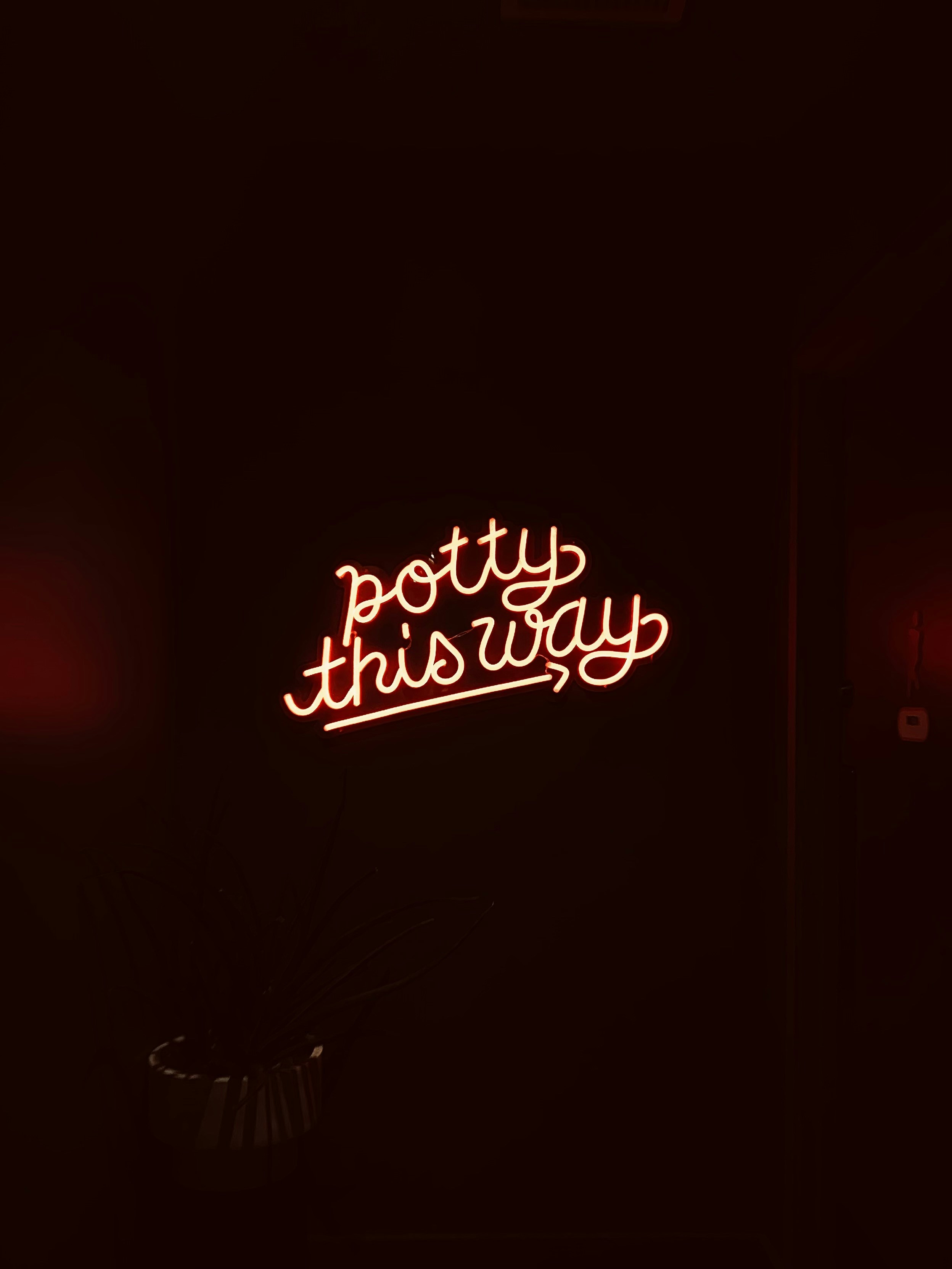 Guided by Neon Whimsy