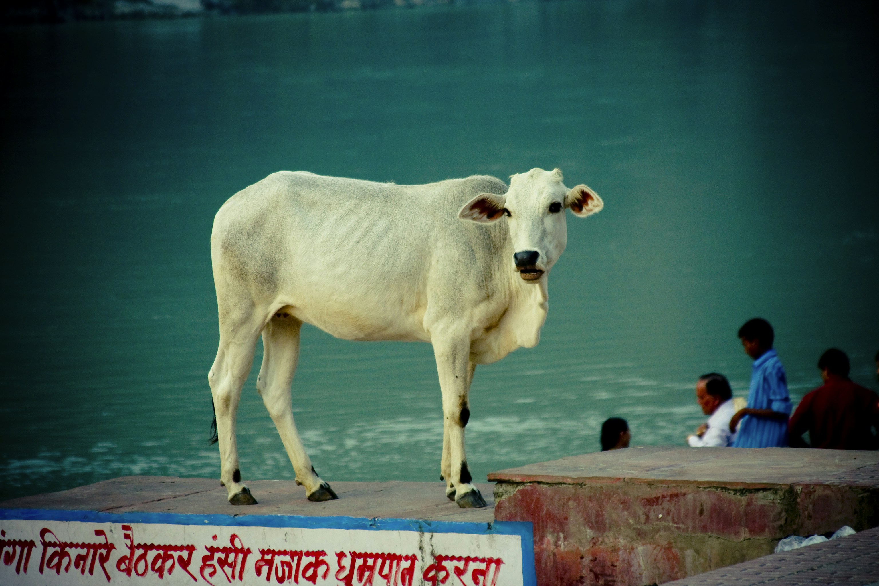 Travel around in India first time photo impressions