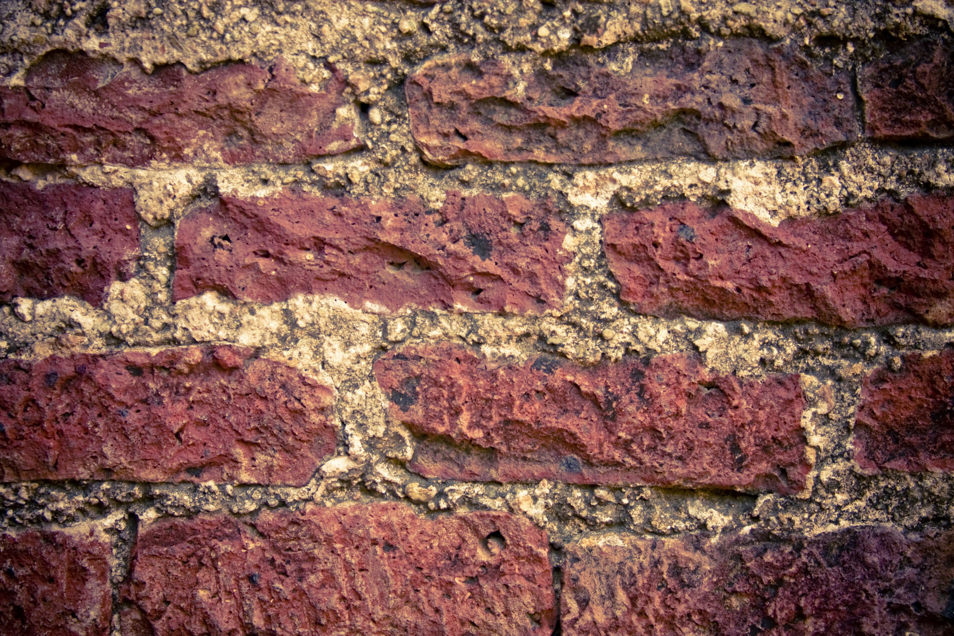 Close-up of a weathered brick wall showcasing rich textures and earthy tones. The interplay of light and shadow highlights the aged surface.