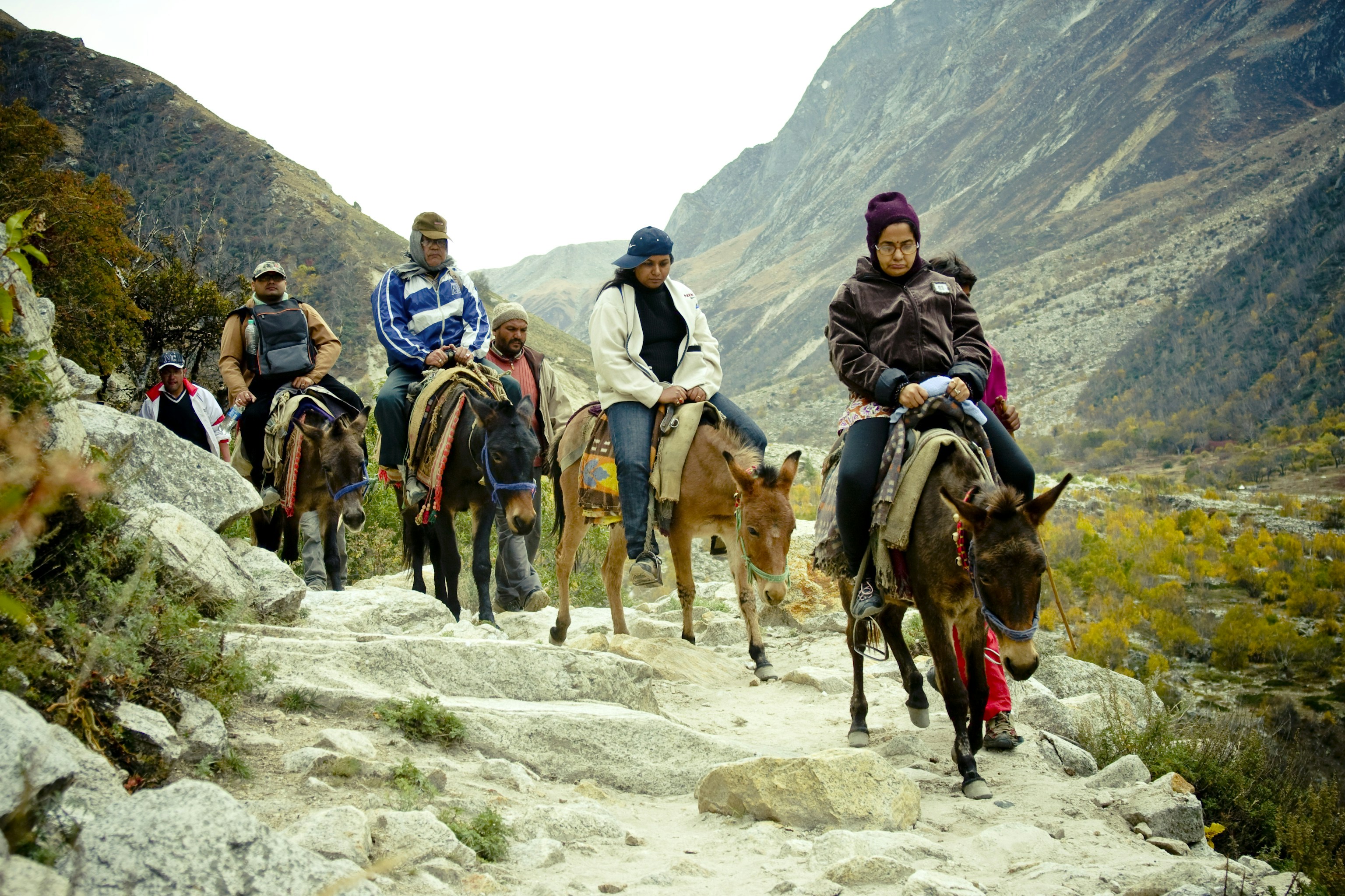 A group of people riding donkeys down a rocky trail photo – Free India ...