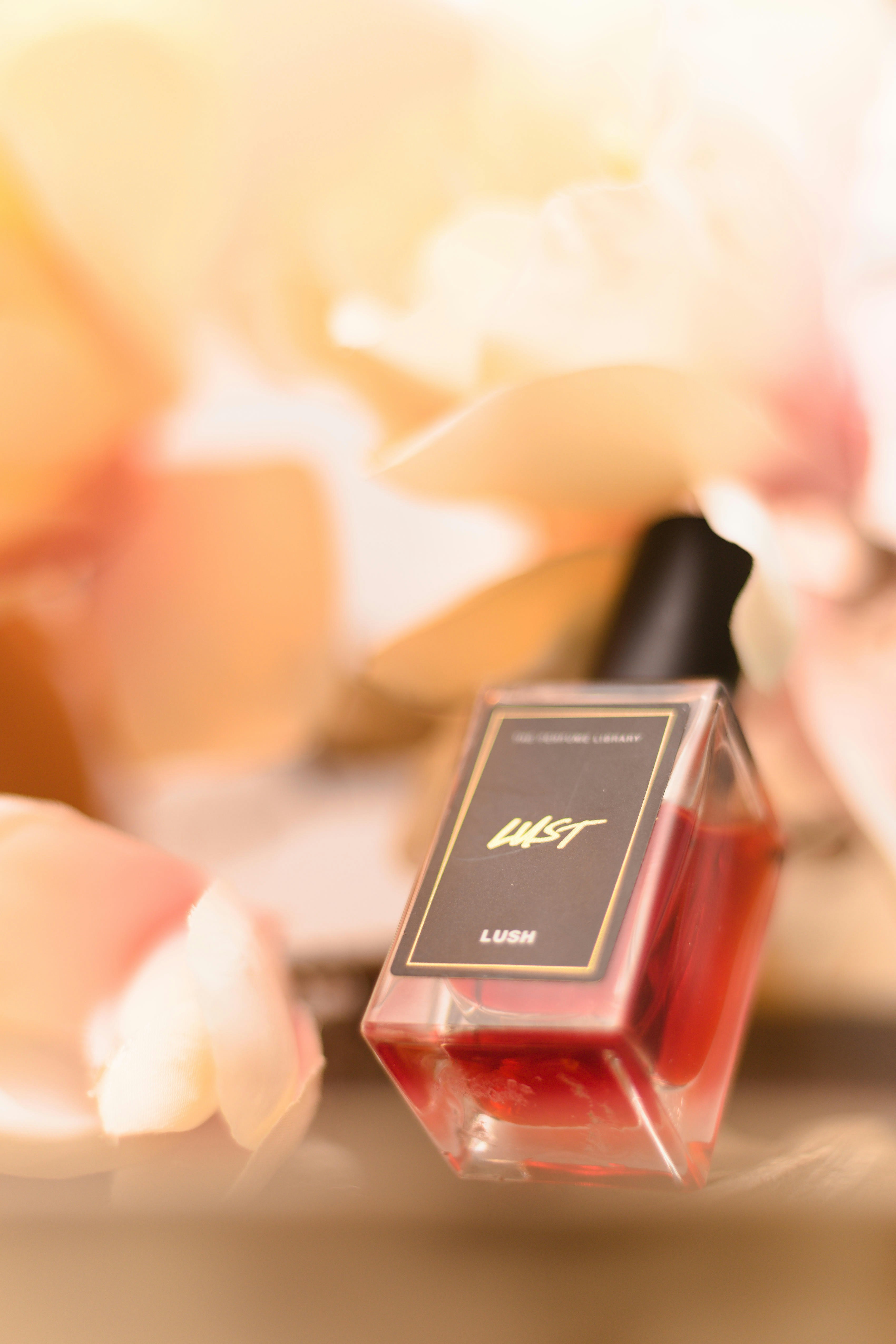 Soft Amber Luster: Lip Color and Petal Light