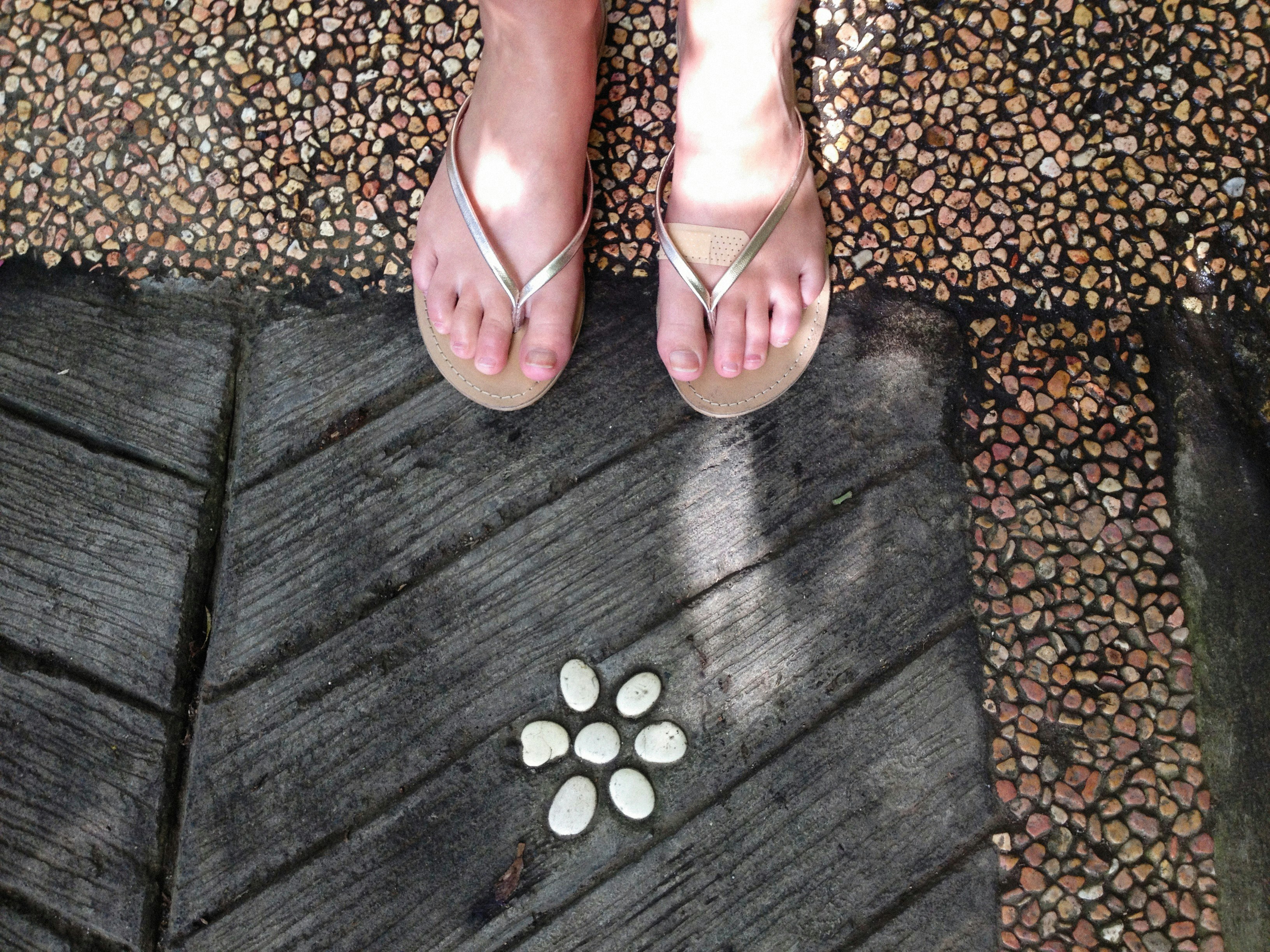 a person standing on a wooden deck with a paw print on the ground