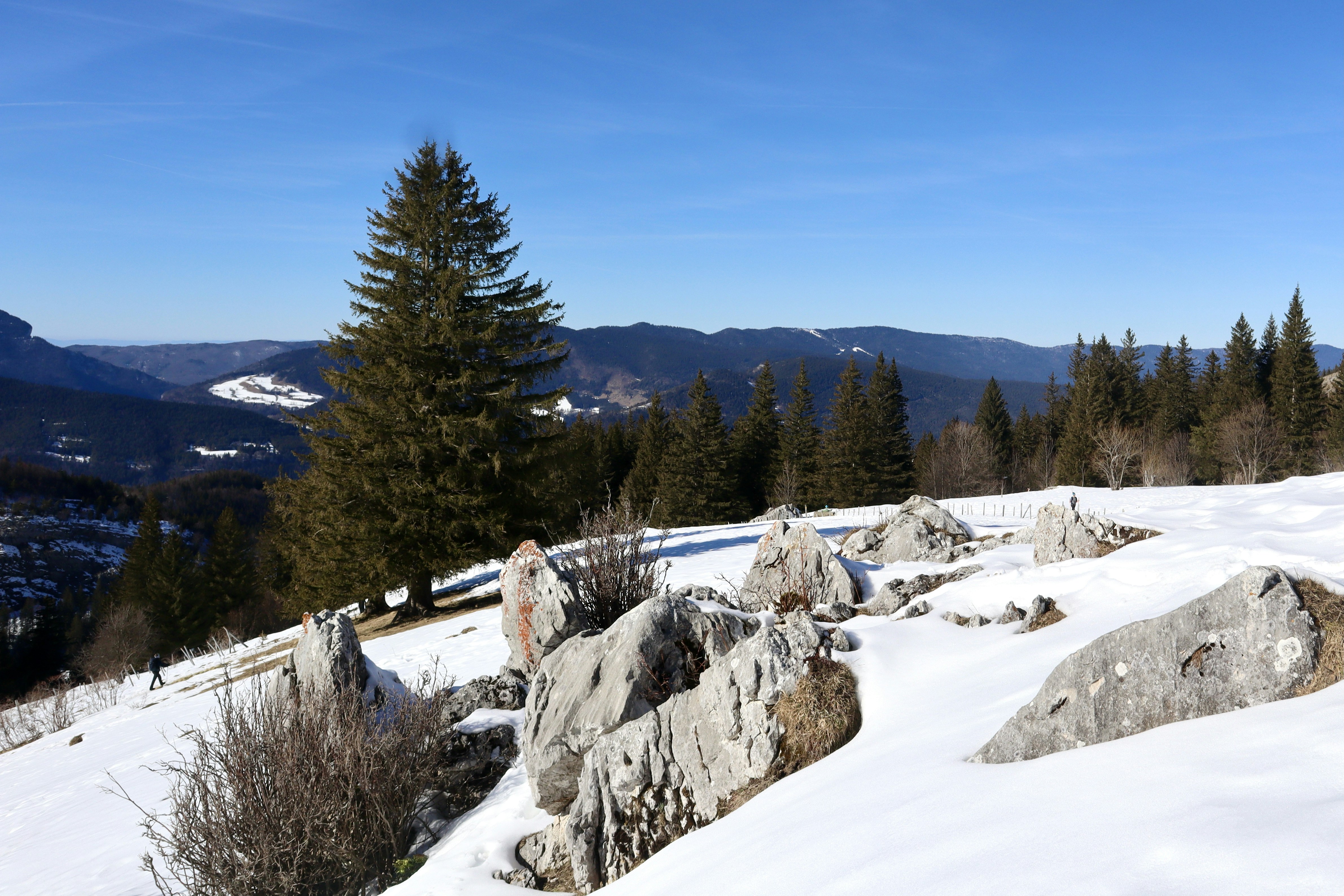 Foto Una montaña cubierta de nieve con árboles al fondo – Imagen ...