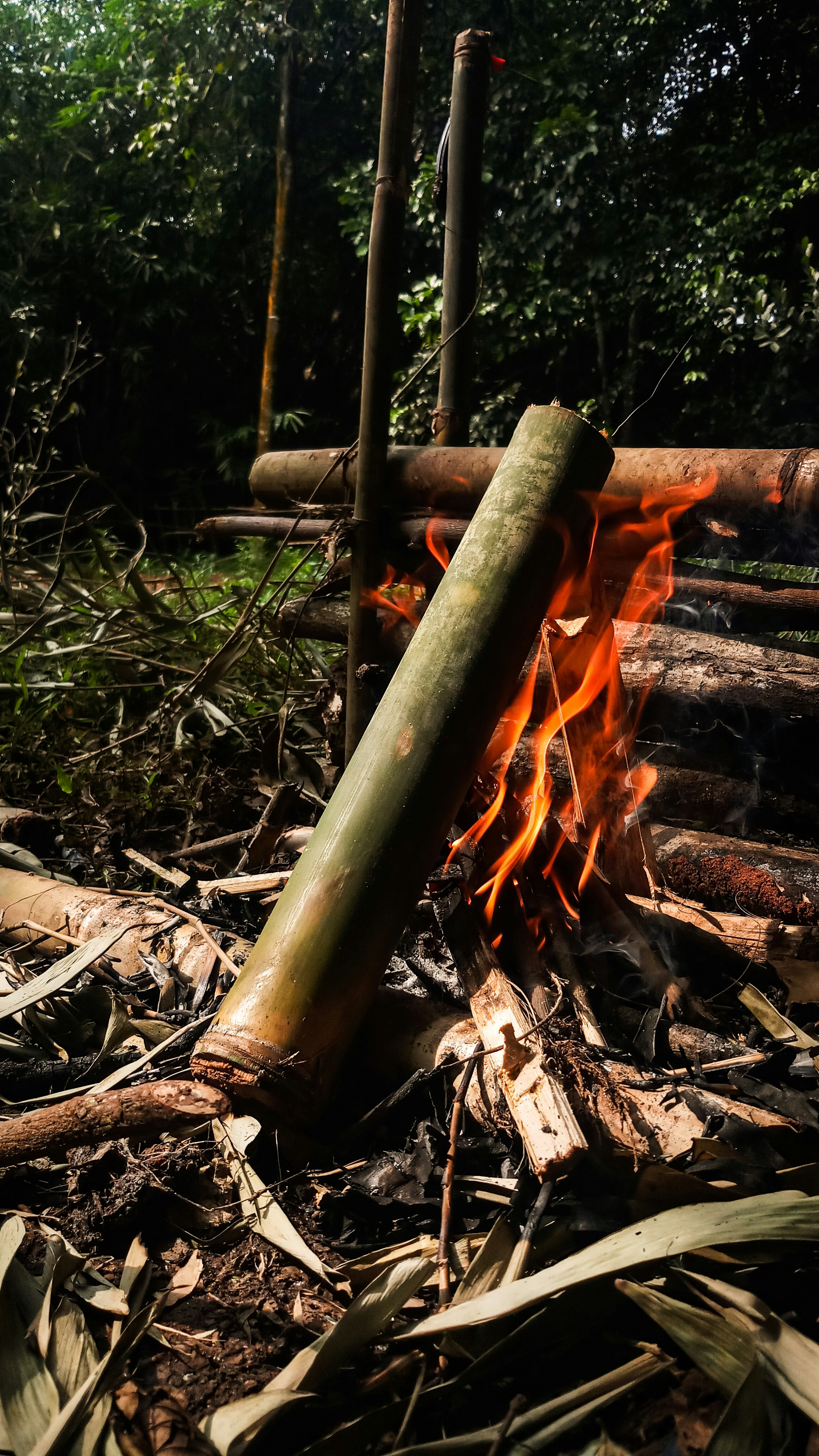 Ember Scaffold: Bamboo Firelight in a Shadowed Forest Clearing