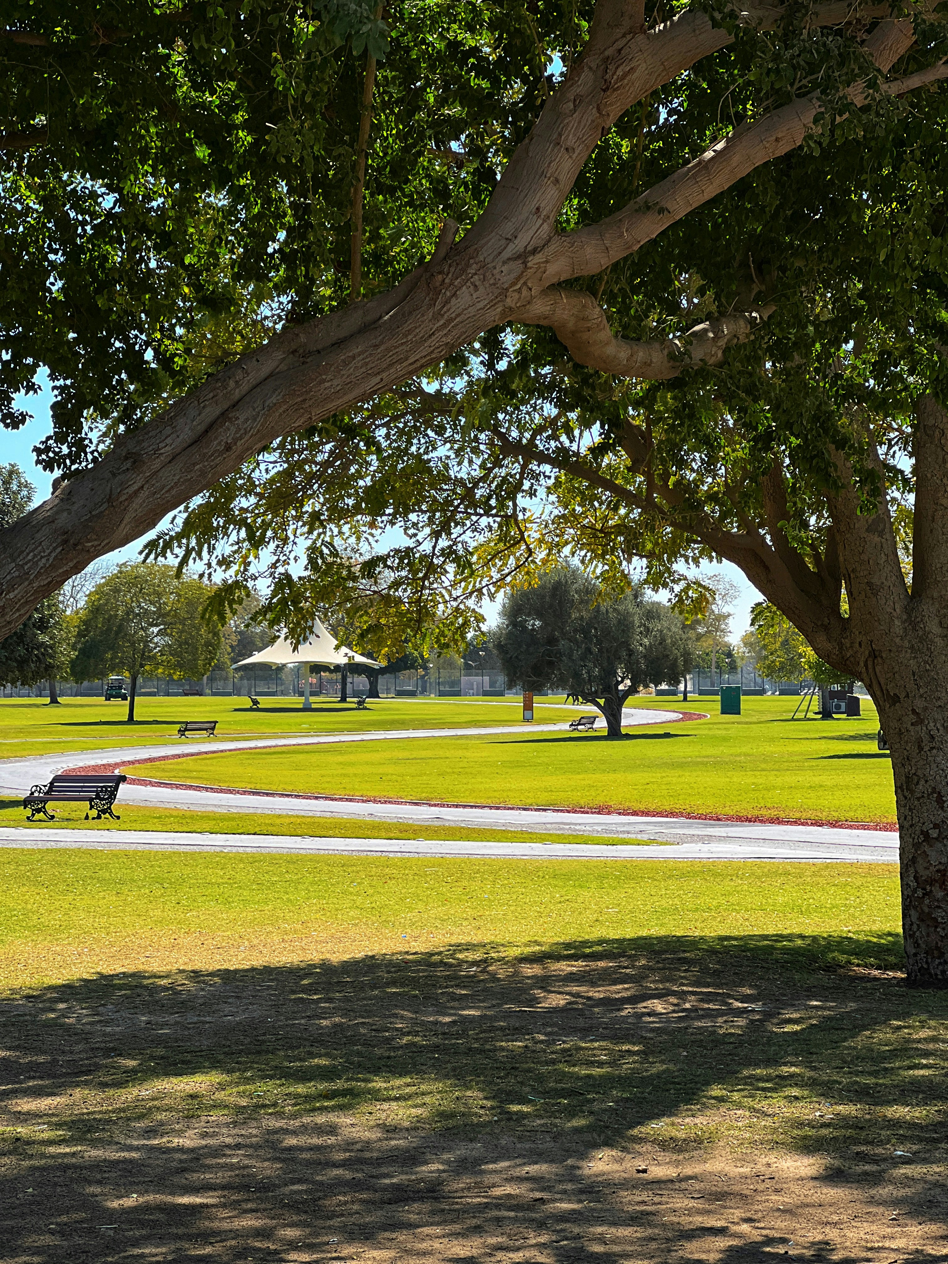 A park filled with lots of green grass and lots of trees photo – Free ...