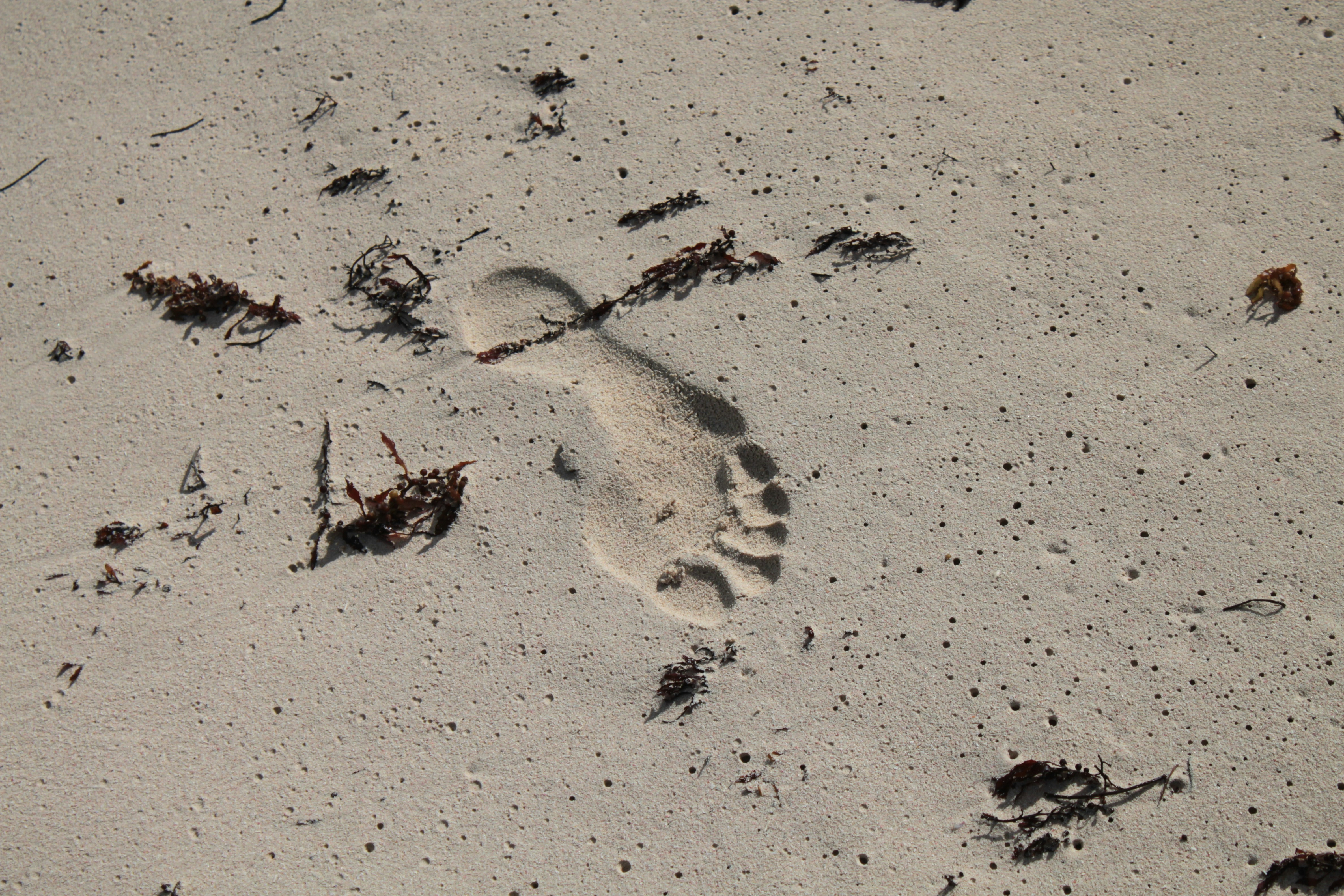 A single footprint embedded in fine sand, surrounded by scattered seaweed and natural debris. The scene evokes a sense of solitude and connection to nature.