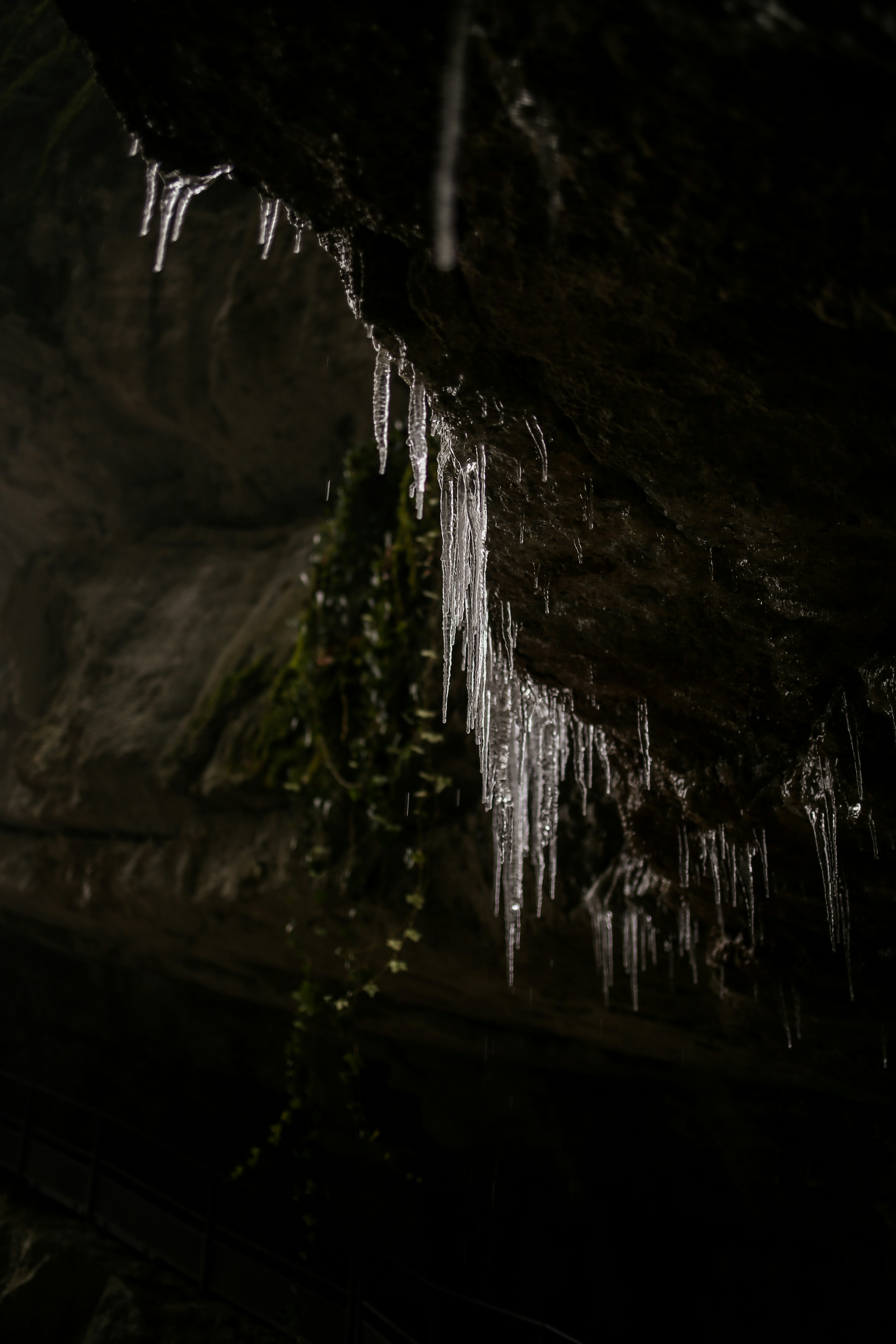 Icicles dangle from a cave ceiling with mossy walls dimly lit in the background.