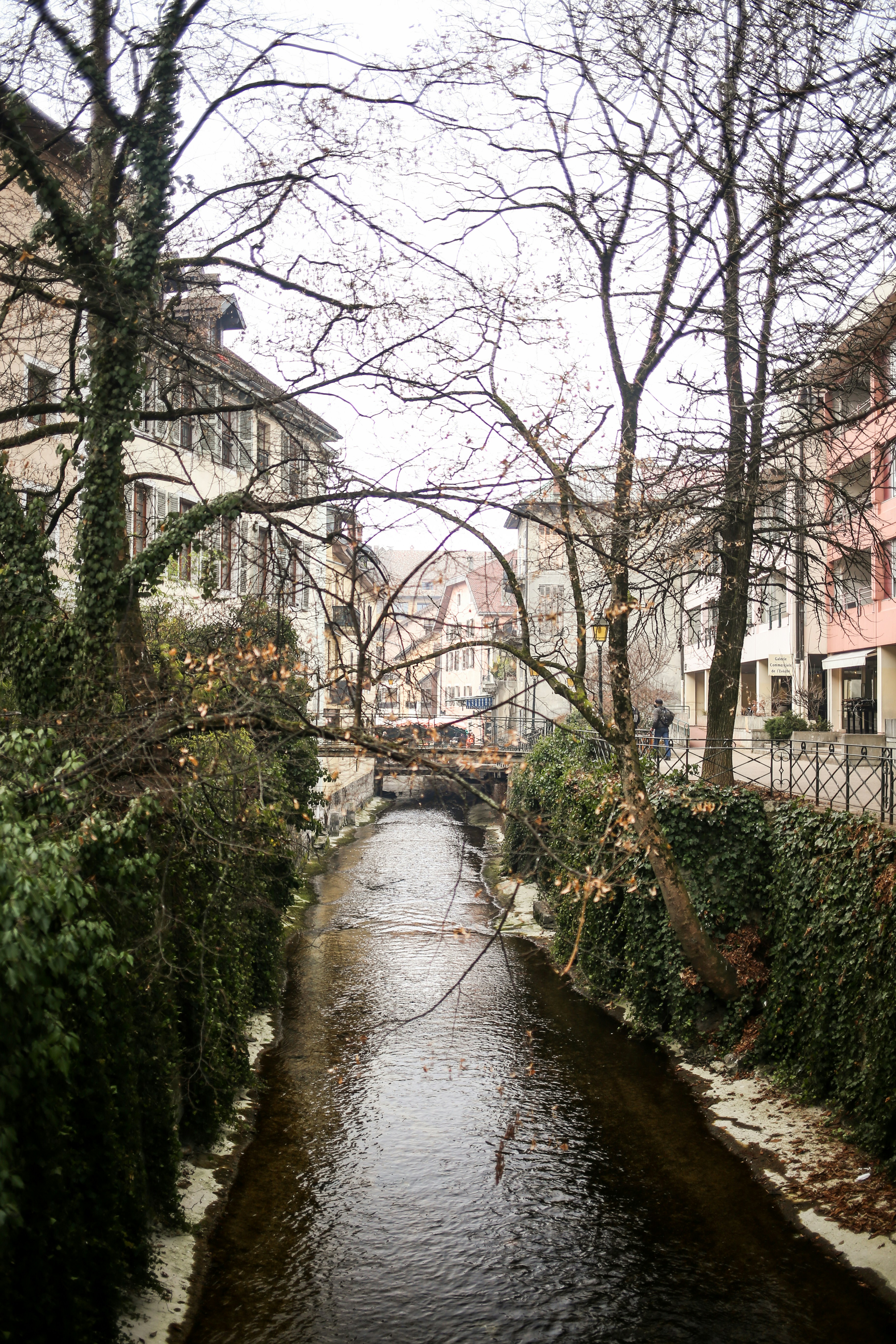 Winter Canal Way: Ivy-Clad Walls, Brick Facades, and a Quiet Bridge