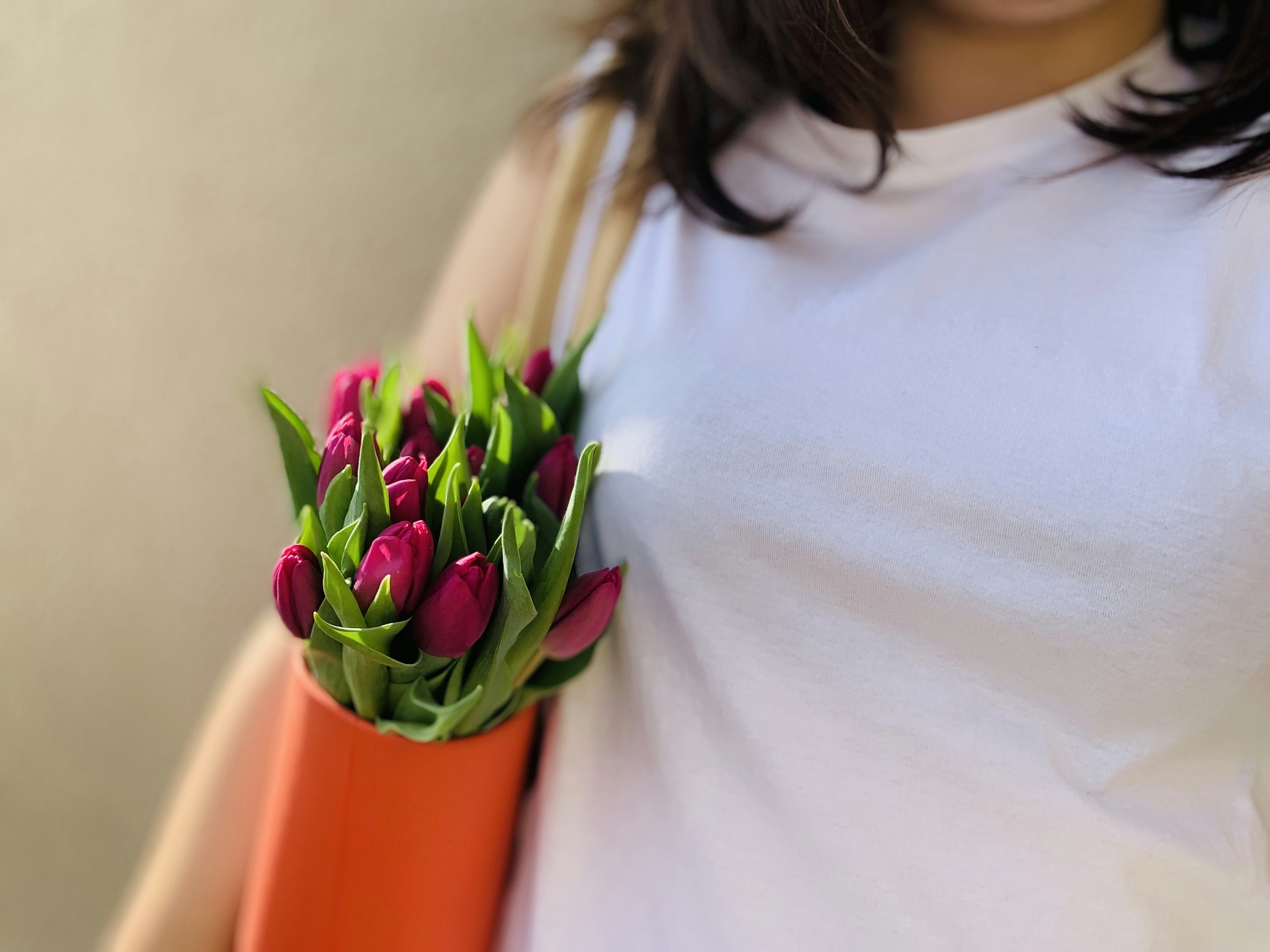 Vibrant Spring Blooms in Hand