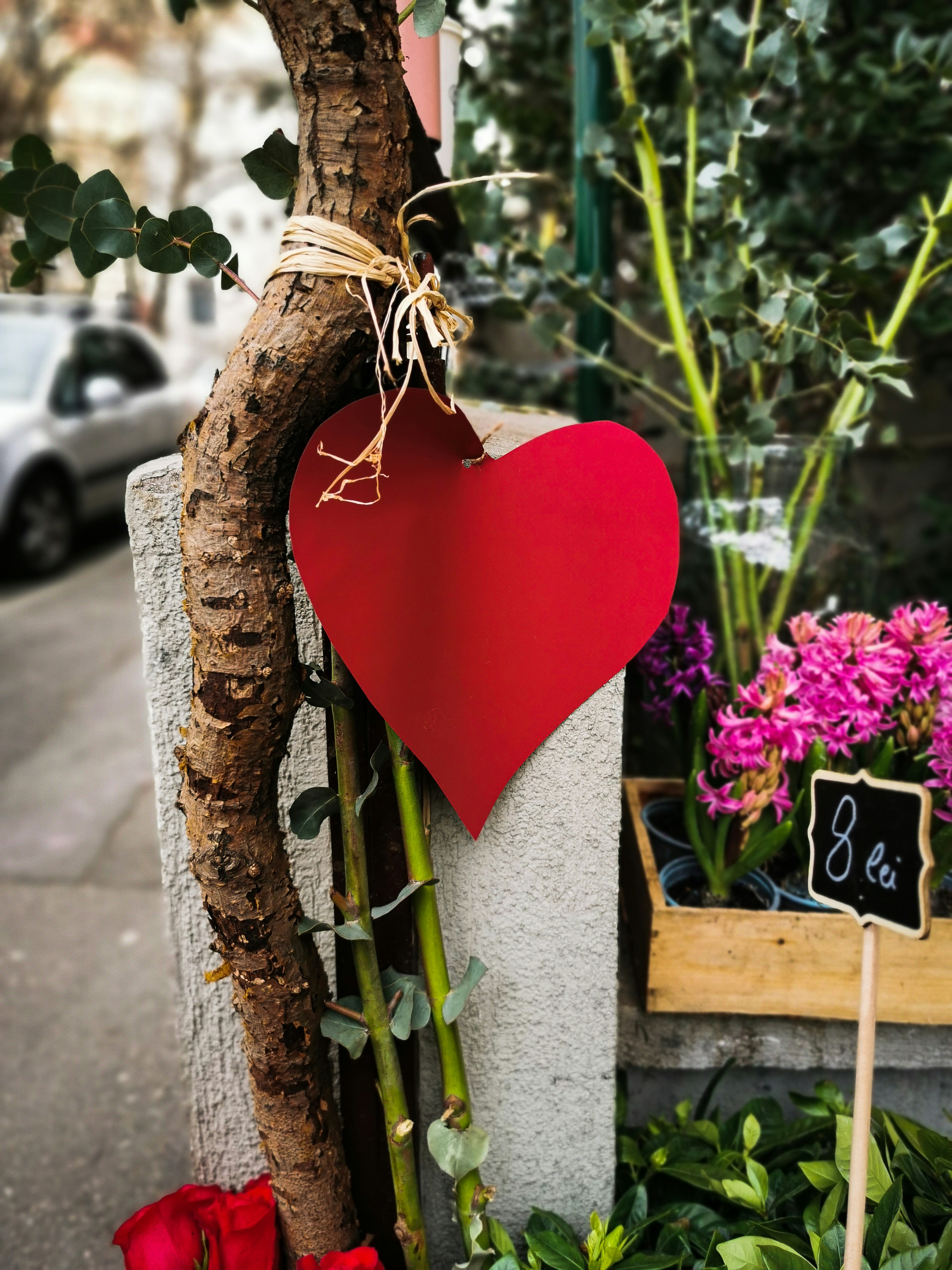 A red heart hanging on a tree next to flowers photo – Free ...