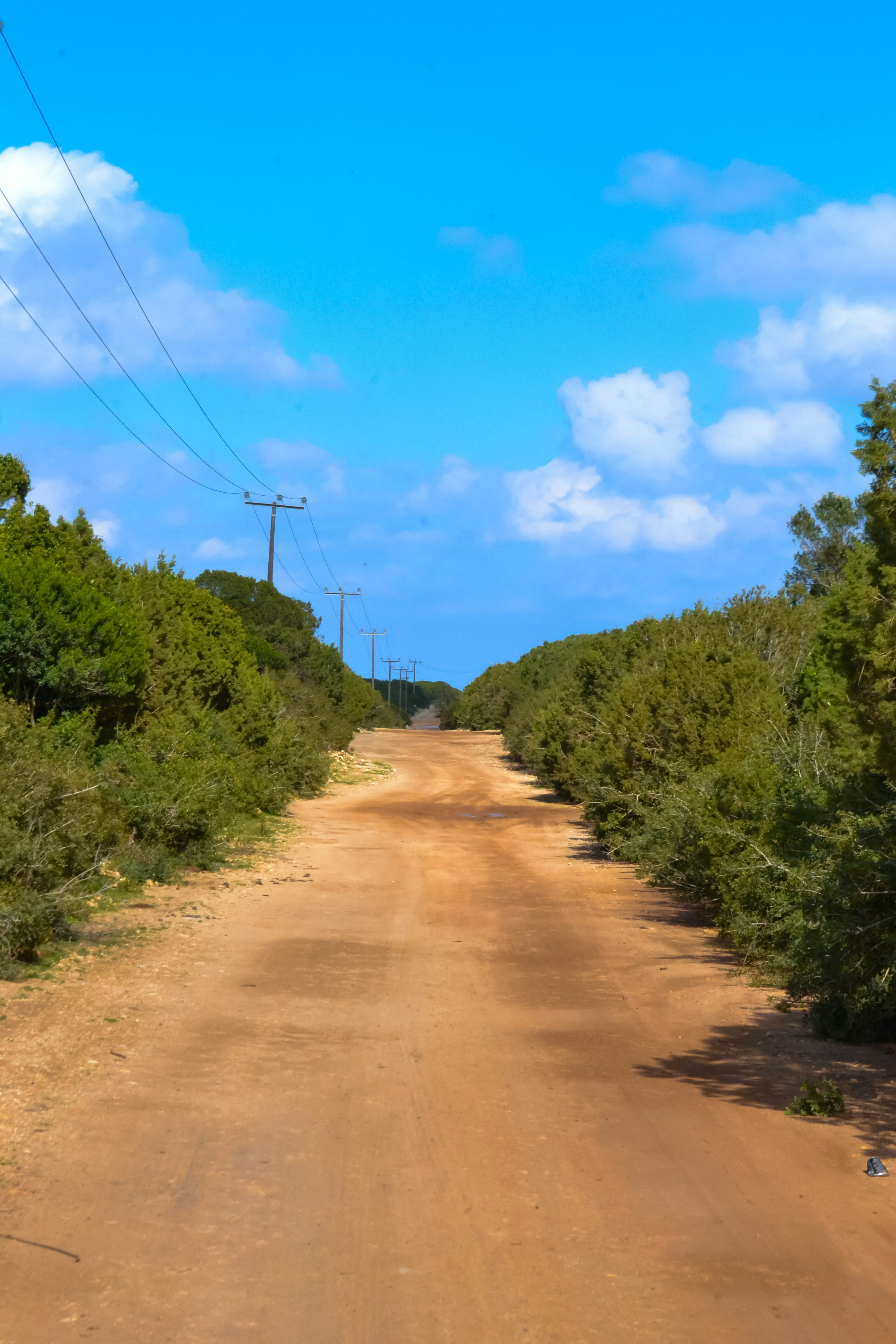 a dirt road surrounded by trees and power lines