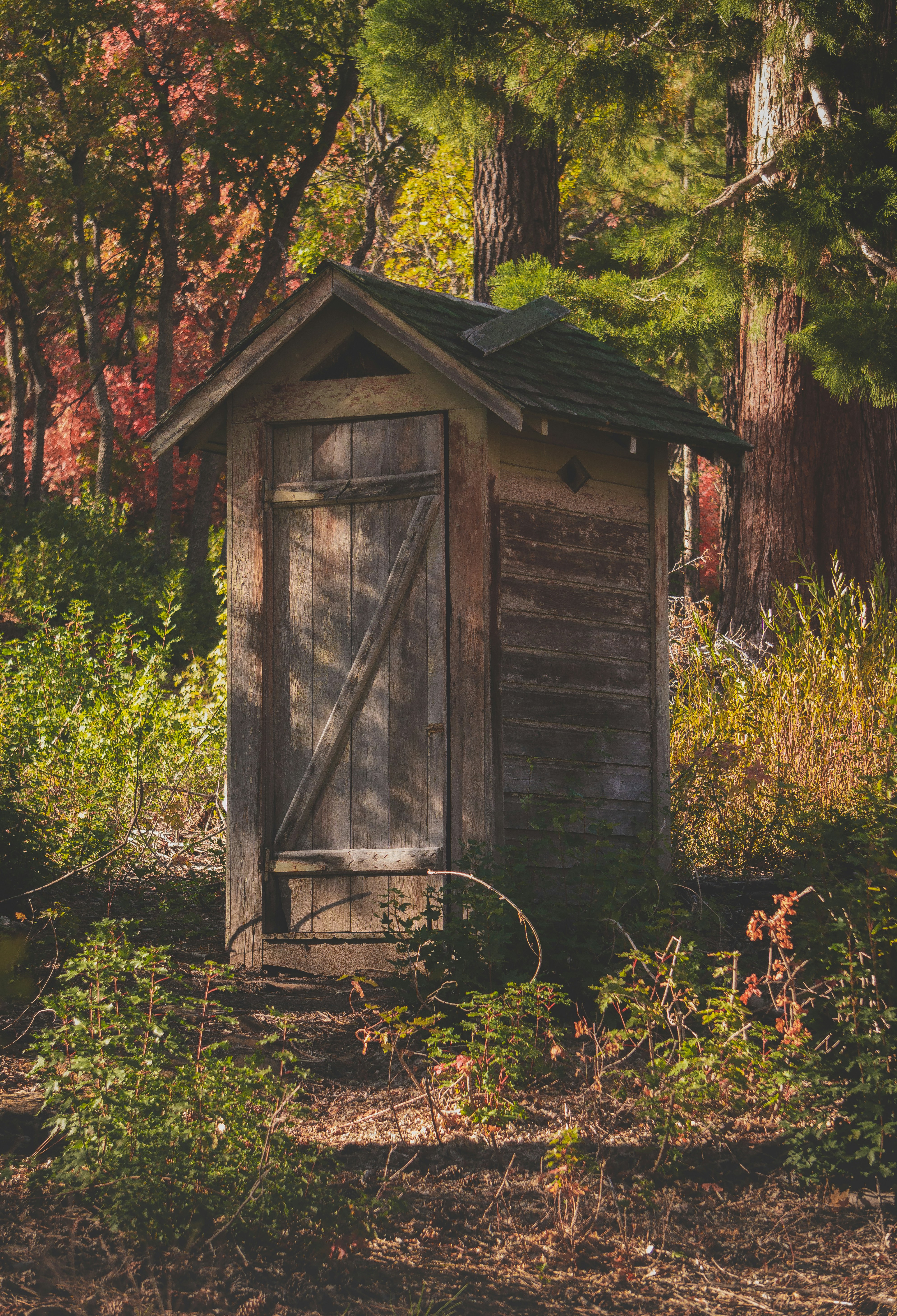 Foto Una pequeña letrina en medio de un bosque – Imagen Utah gratis en ...
