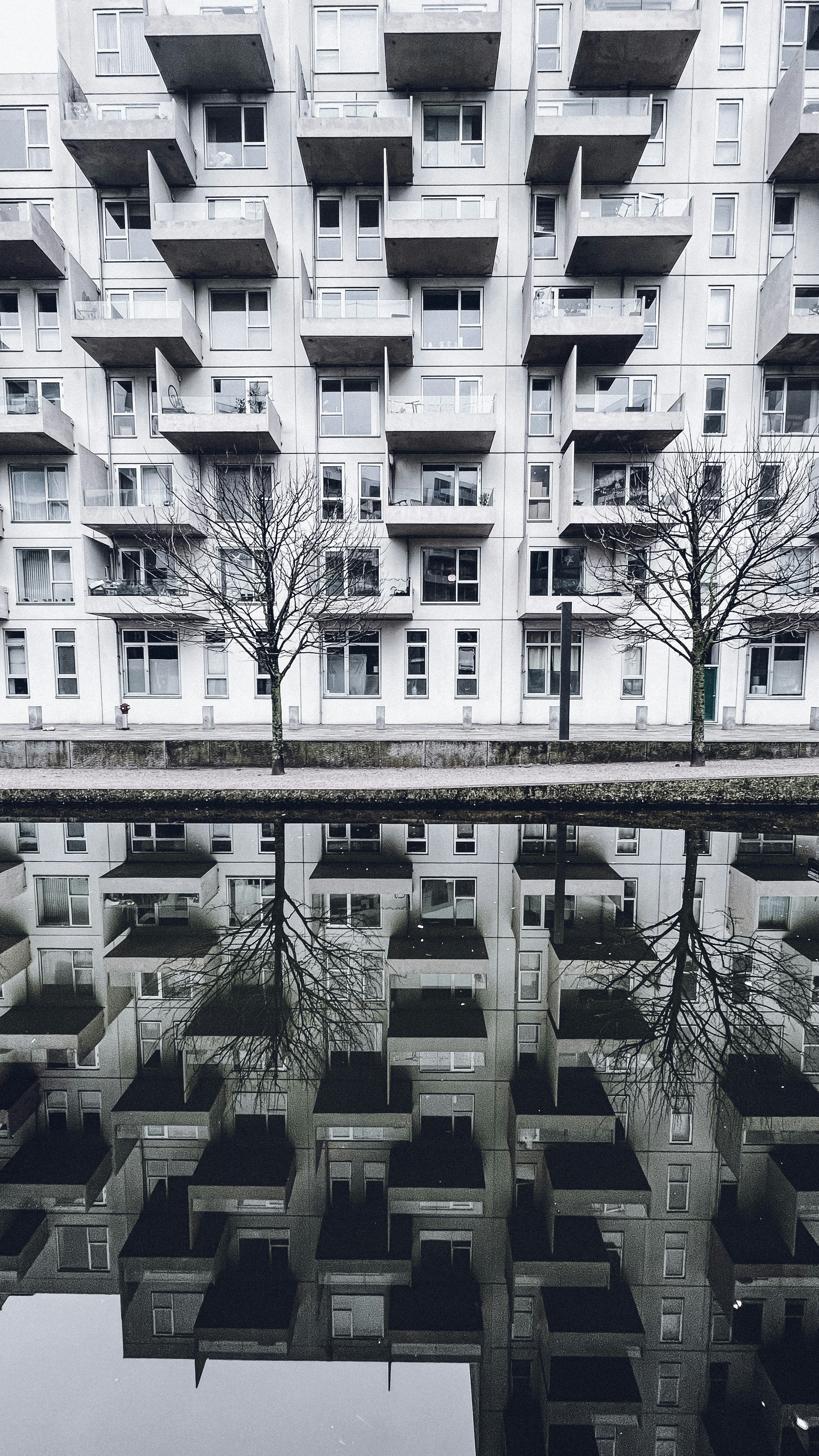 Geometric apartment building mirrored in still water, with bare trees lining the canal. The symmetry enhances the architectural design.
