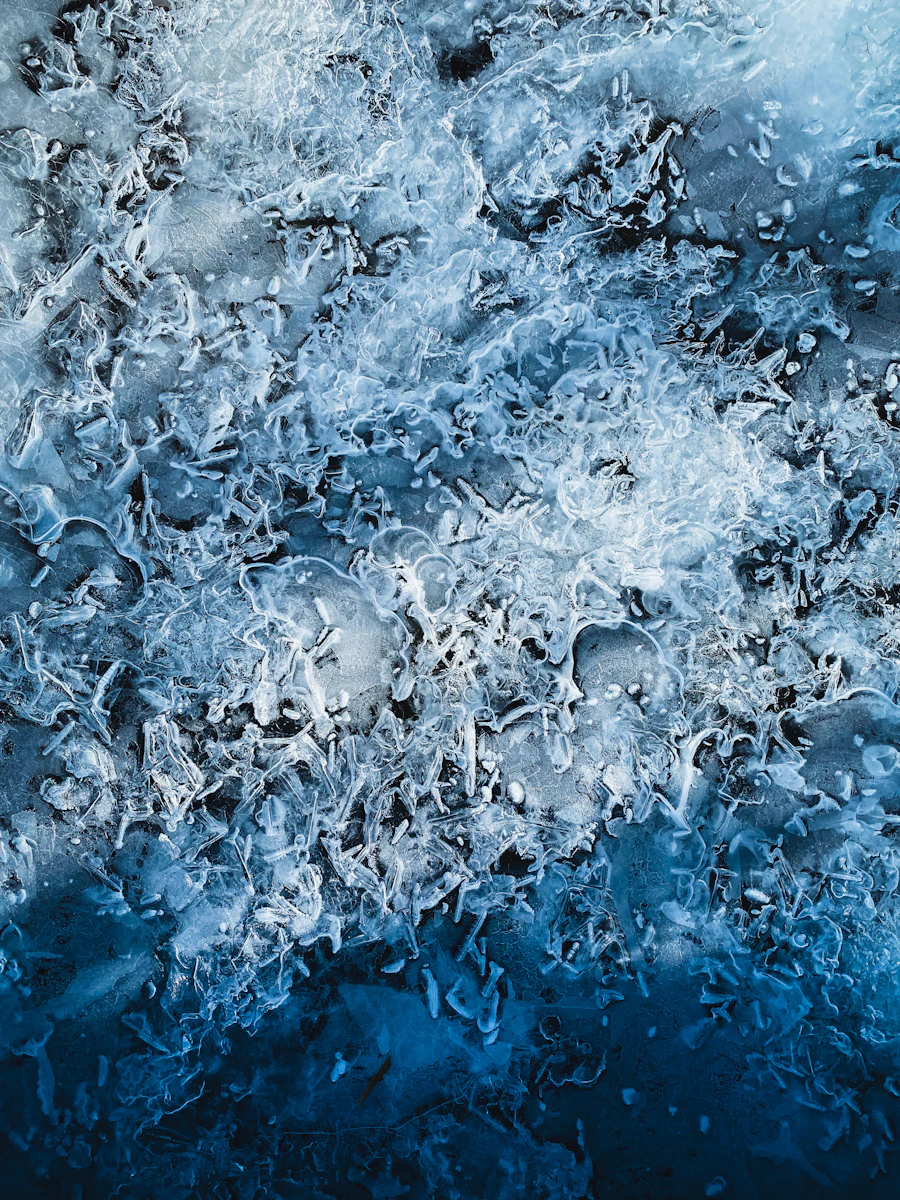 Close-up photograph of intricate ice crystals forming a blue frost pattern.