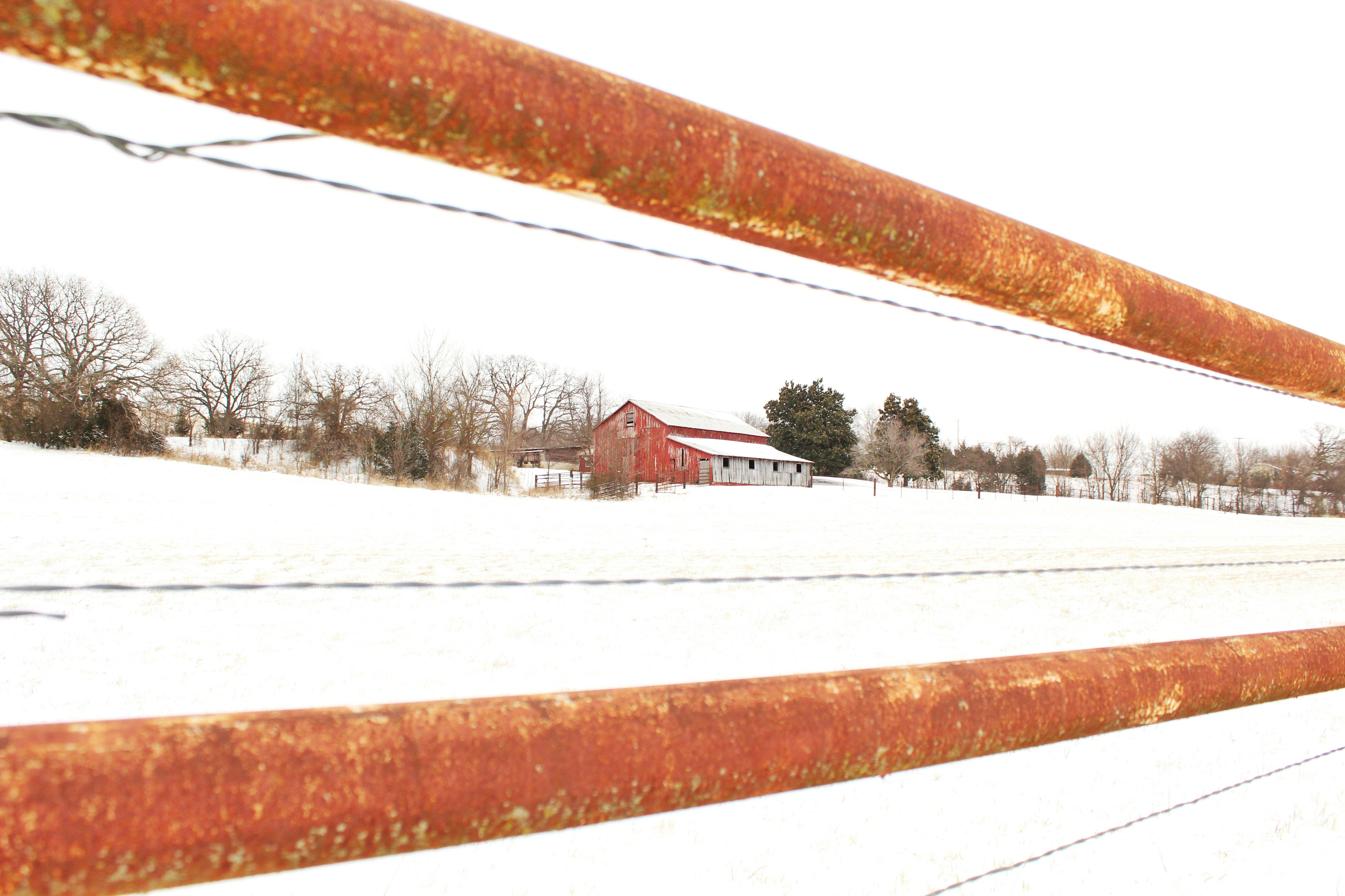 Rust-Orange Rails Framing a Snowbound Farm and a Red Barn