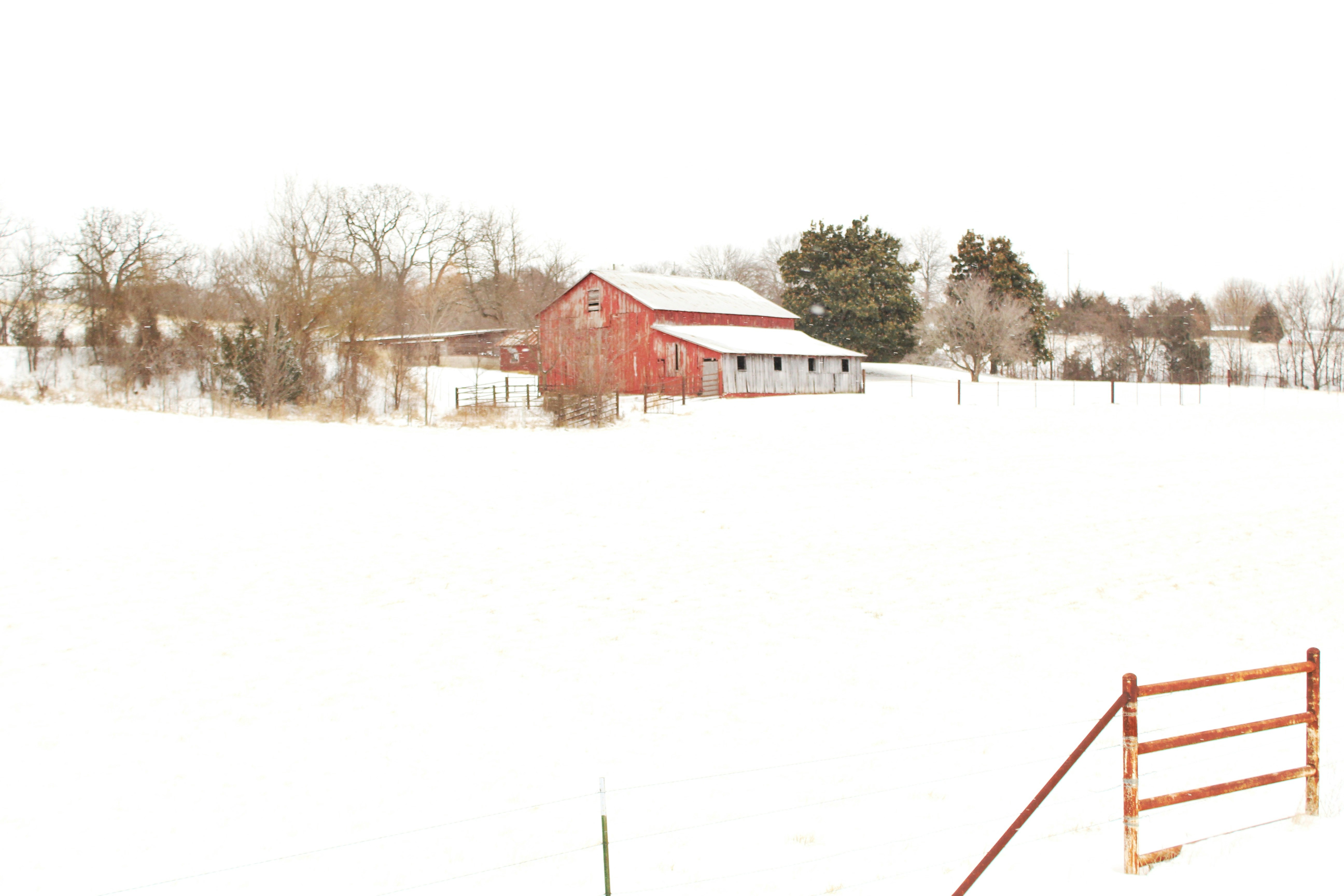 A rustic red barn stands resilient in a snowy landscape, surrounded by bare trees and a quiet fence. The scene captures the essence of winter solitude.