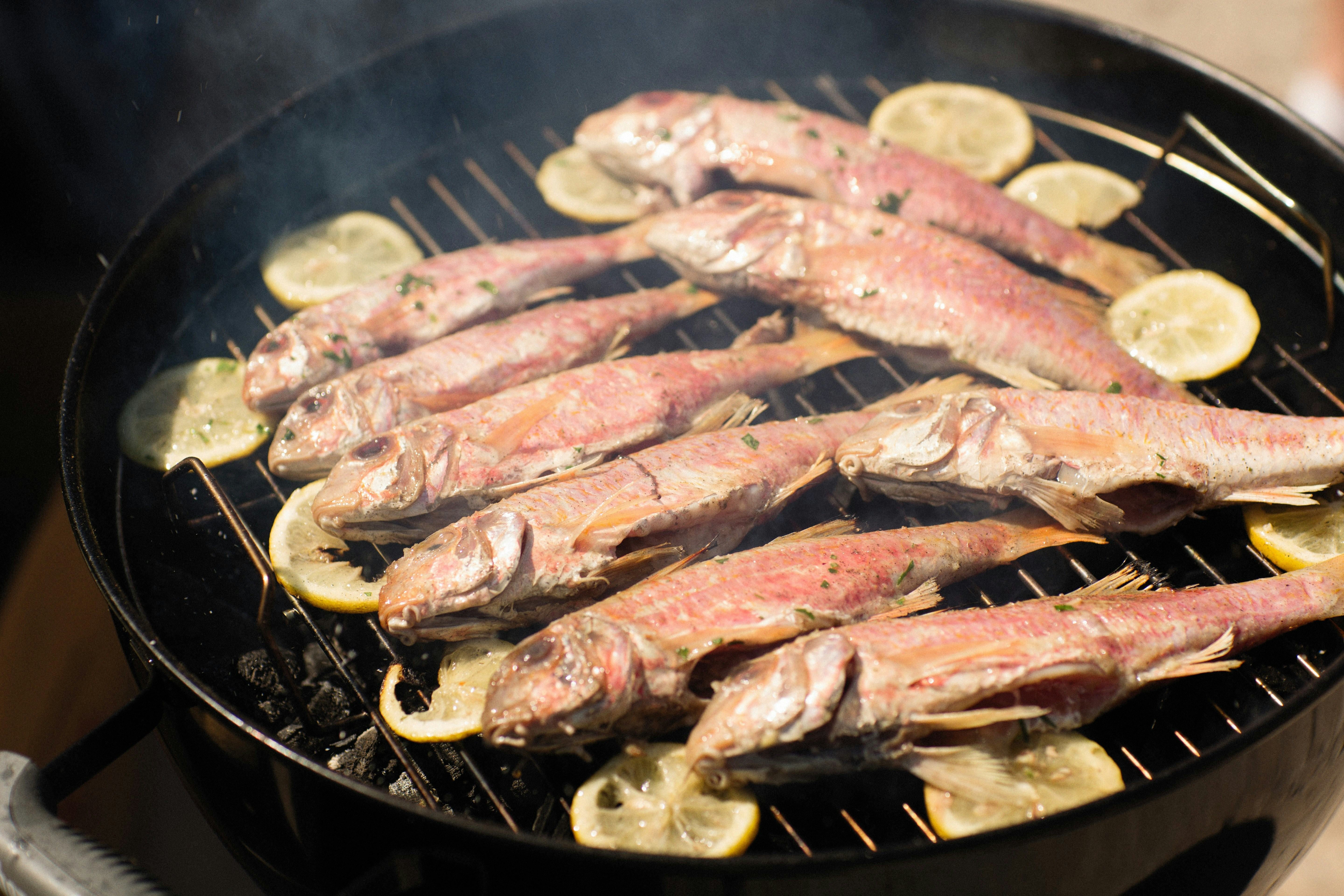 Fish being cooked on a grill with lemon slices photo – Free Food Image ...