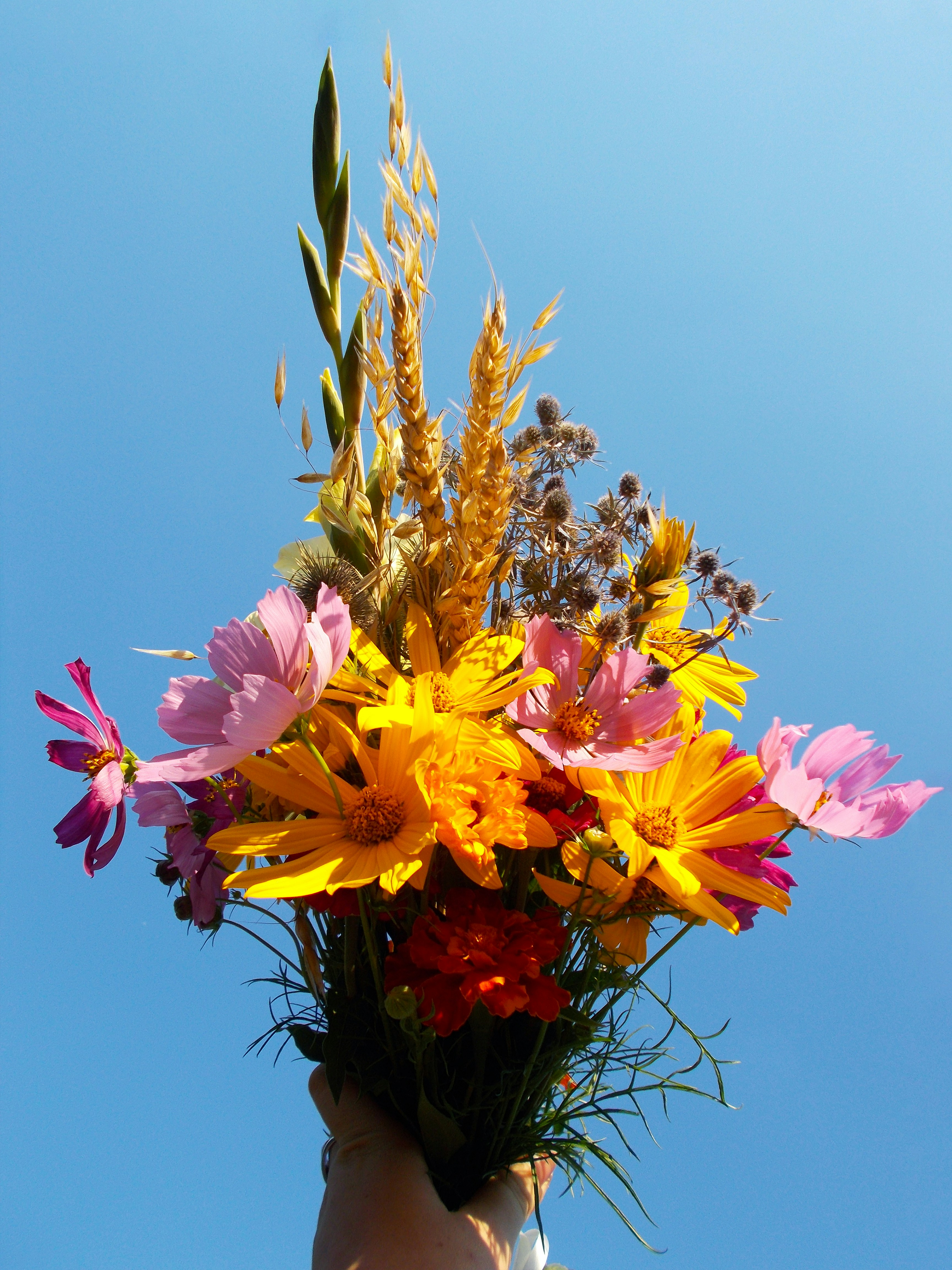 Vibrant bouquet of mixed flowers, including daisies and cosmos, held aloft against a clear blue sky.