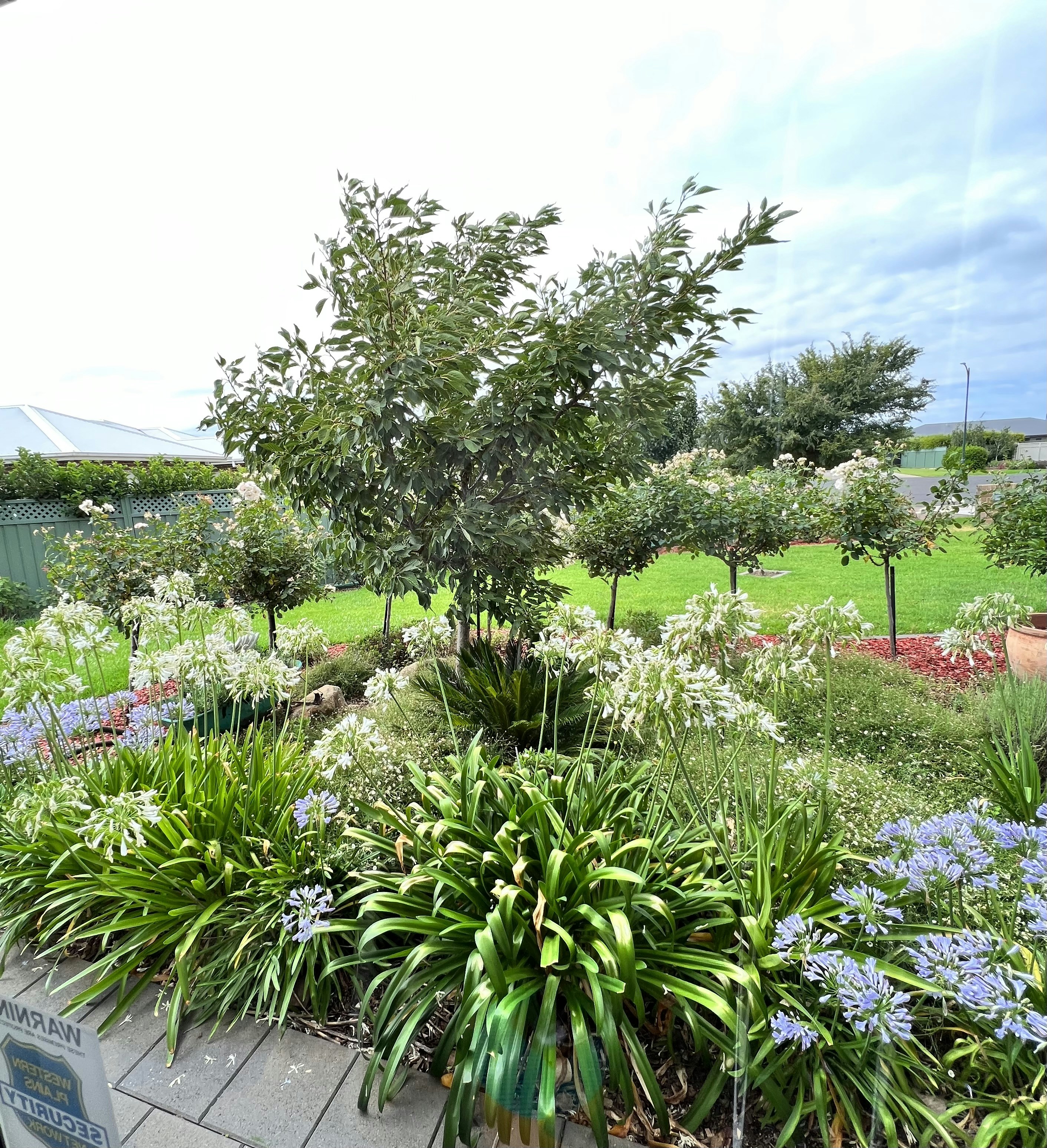 Ajith Samaratunga (@henaka) | Comunidade de fotos da Unsplash