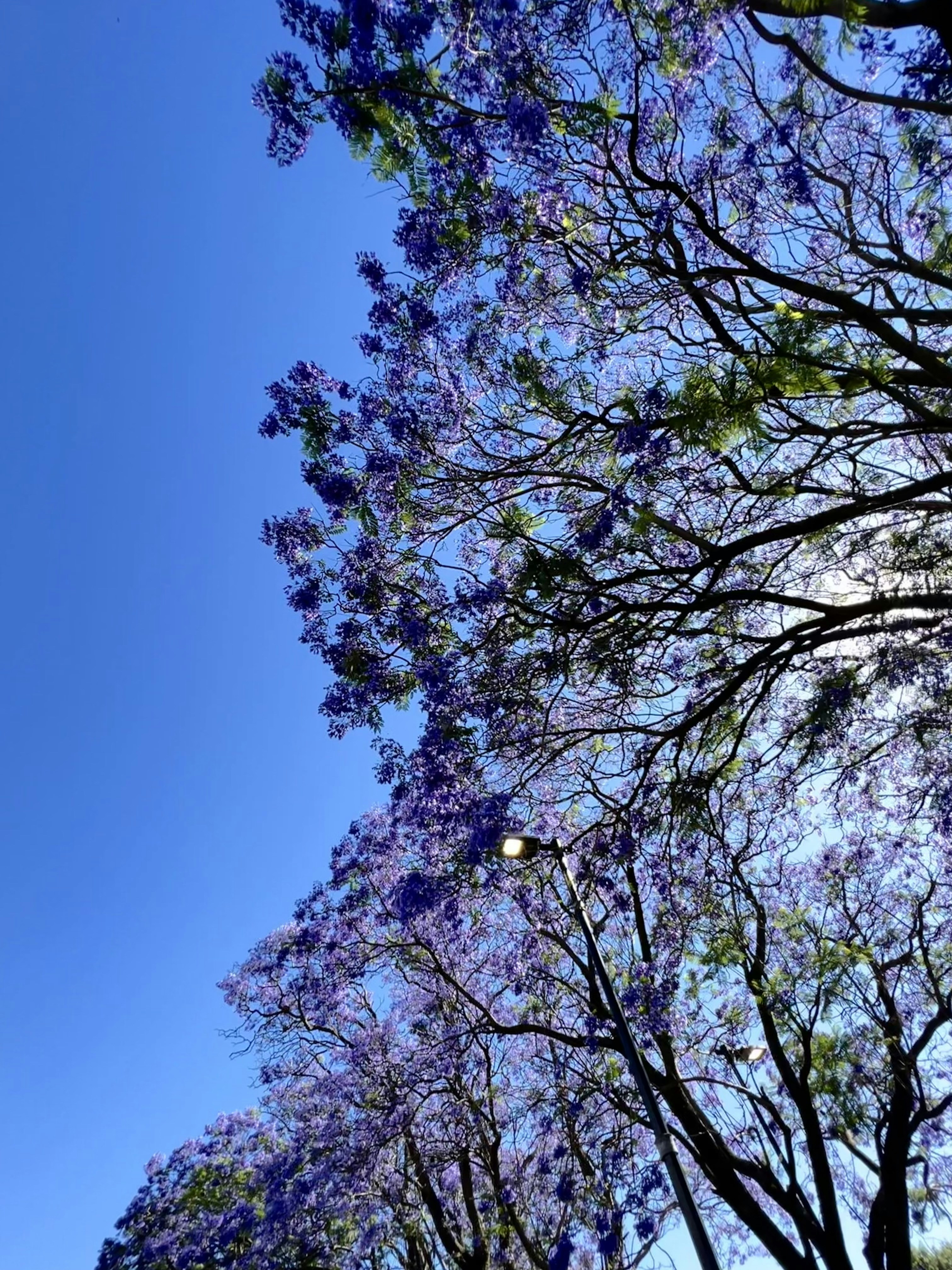 Ajith Samaratunga (@henaka) | Comunidade de fotos da Unsplash