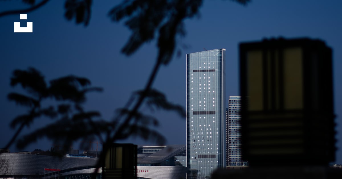 길 건너편에서 바라본 고층 건물의 모습 사진 Unsplash의 무료 자연 이미지