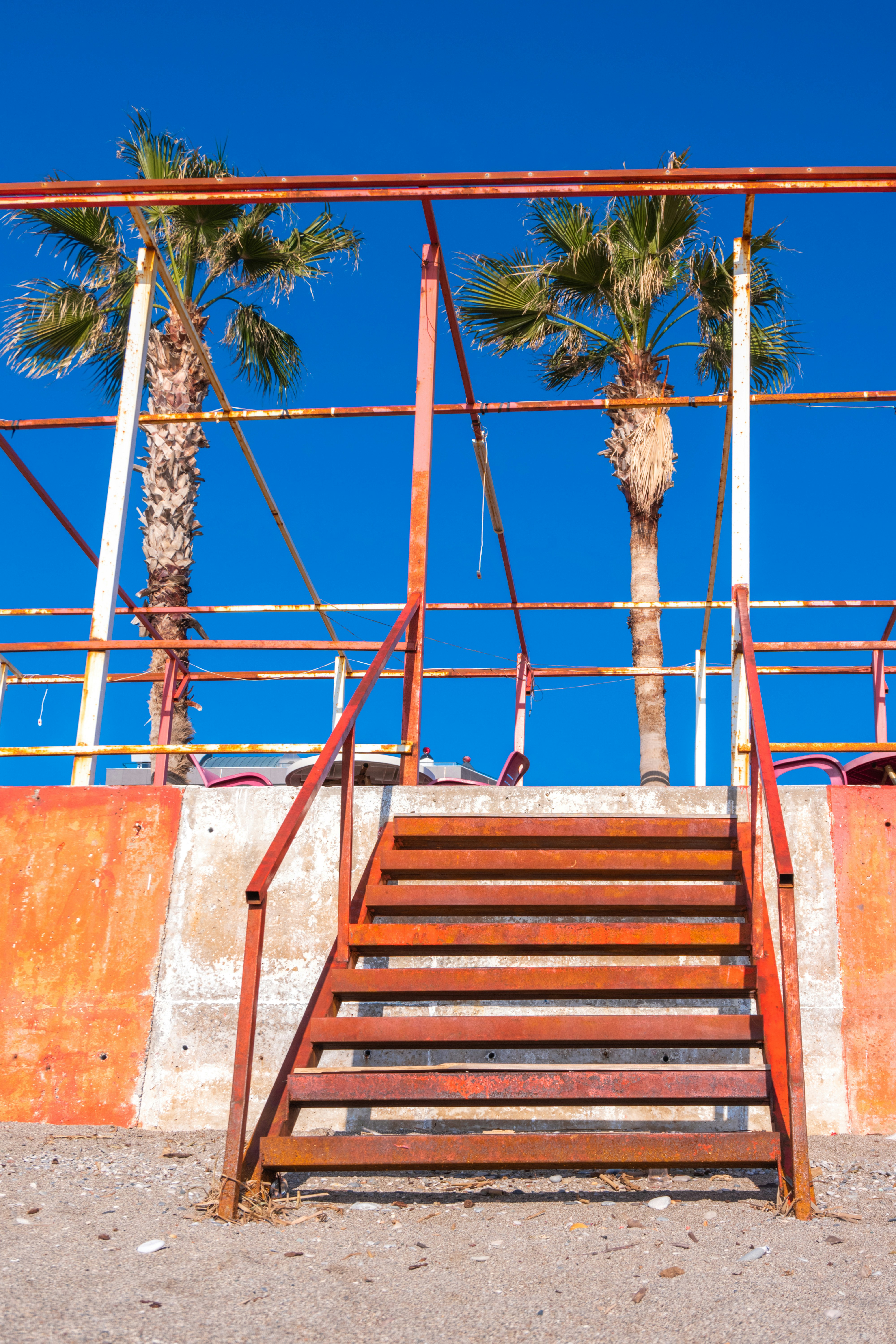 A set of stairs leading up to a palm tree photo – Free Handrail Image ...
