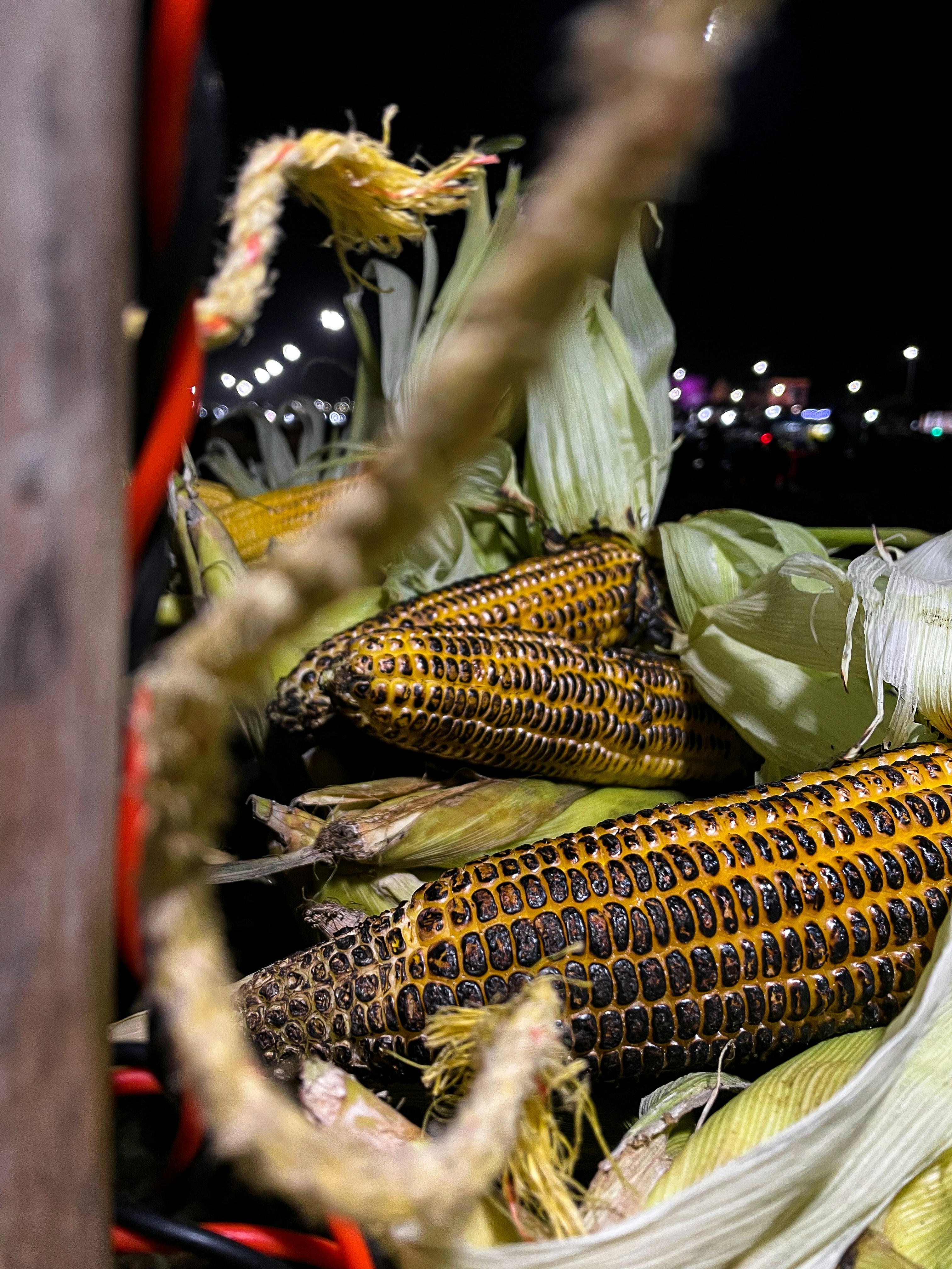 A close up of corn on the cob photo – Free Marina beach Image on Unsplash