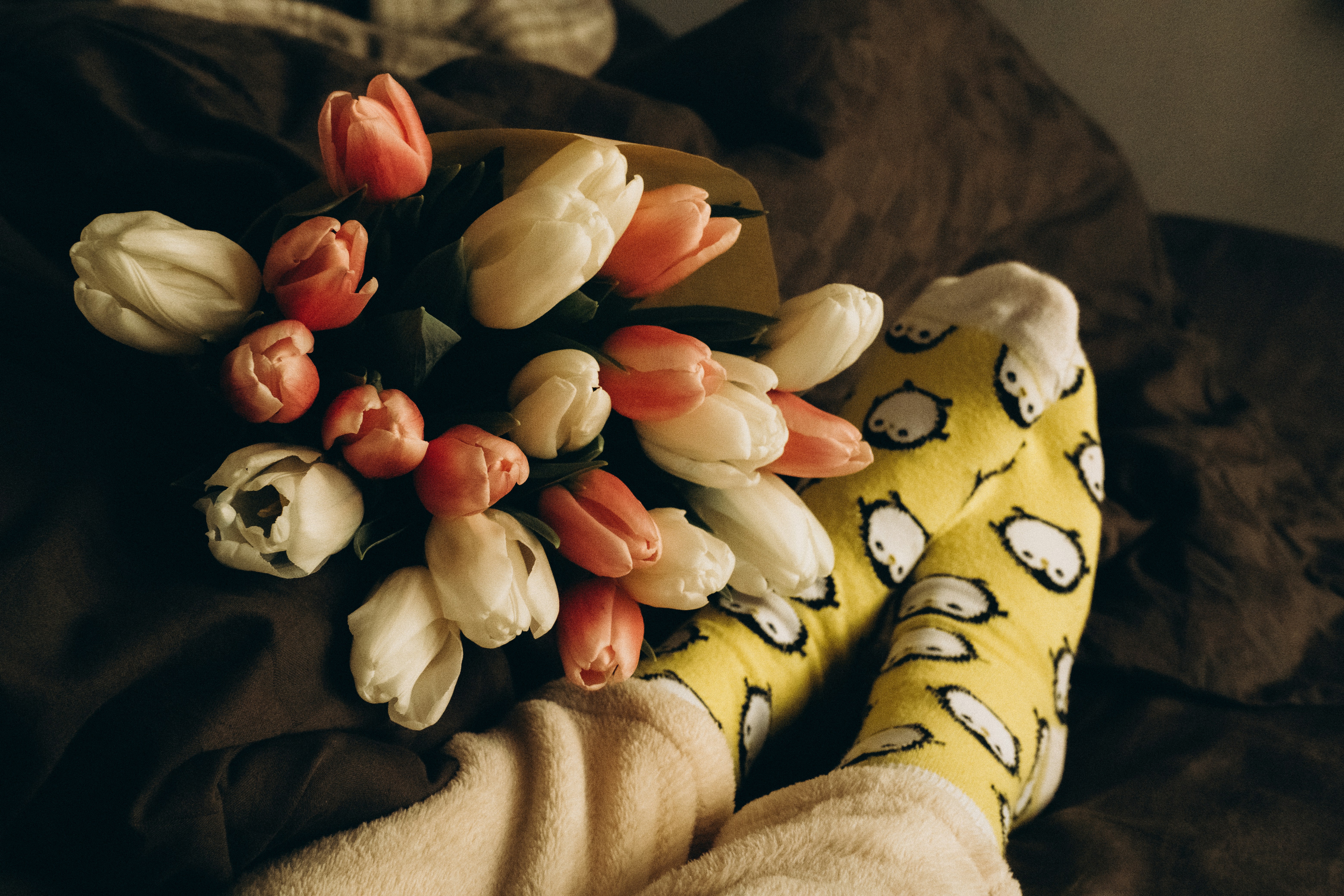 a bouquet of tulips and tulips wrapped in a blanket