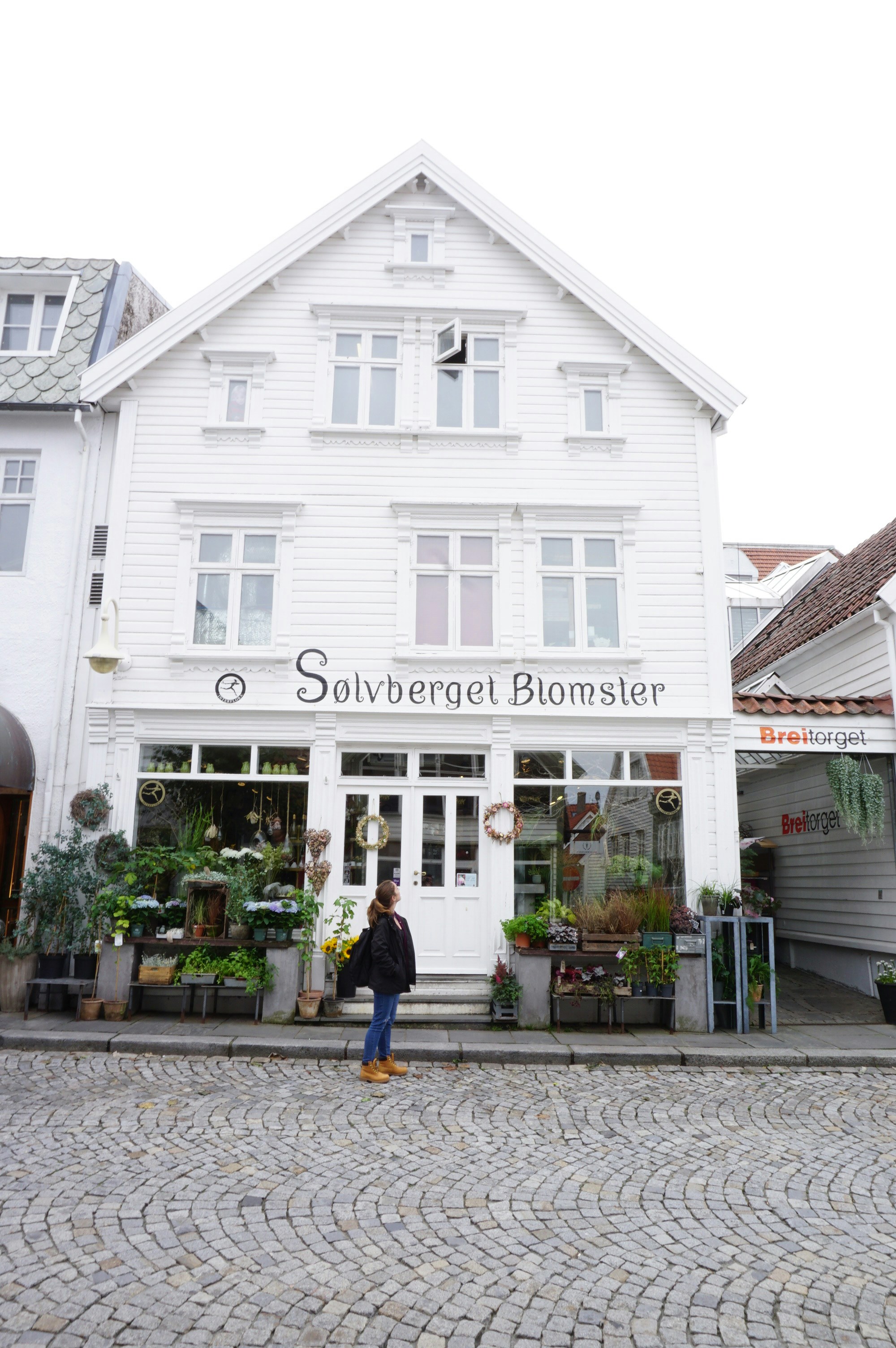 Charming Flower Shop on Cobblestone Street
