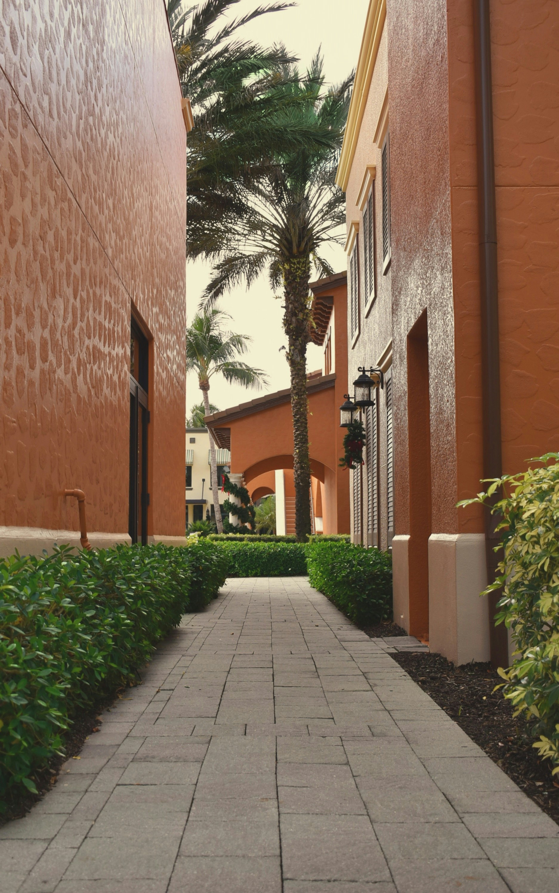 Palm-Lined Alley Between Warm Terracotta Walls