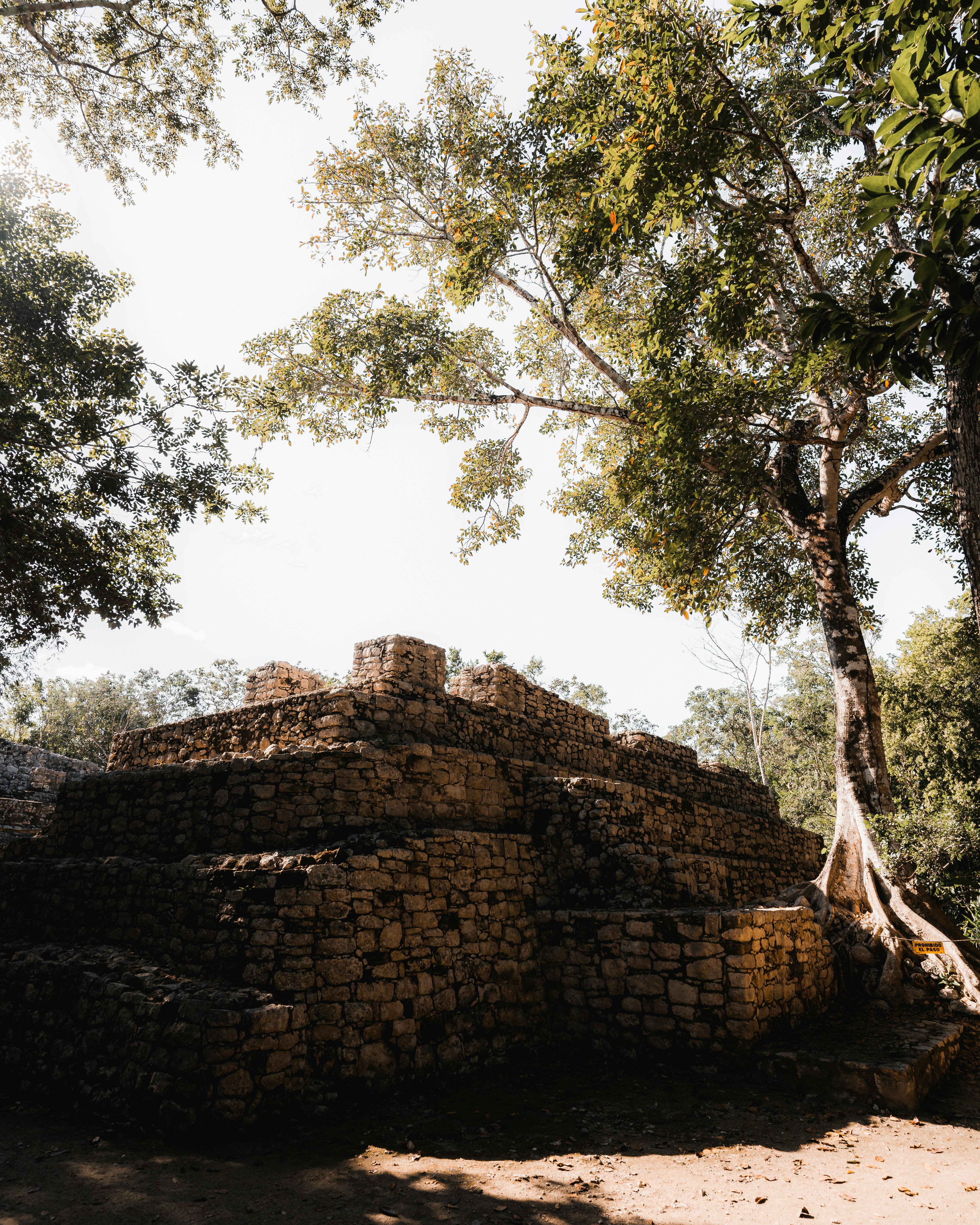 Ancient stone structures partially hidden by lush greenery, showcasing the remnants of a lost civilization. Sunlight filters through the trees, illuminating the weathered stones.