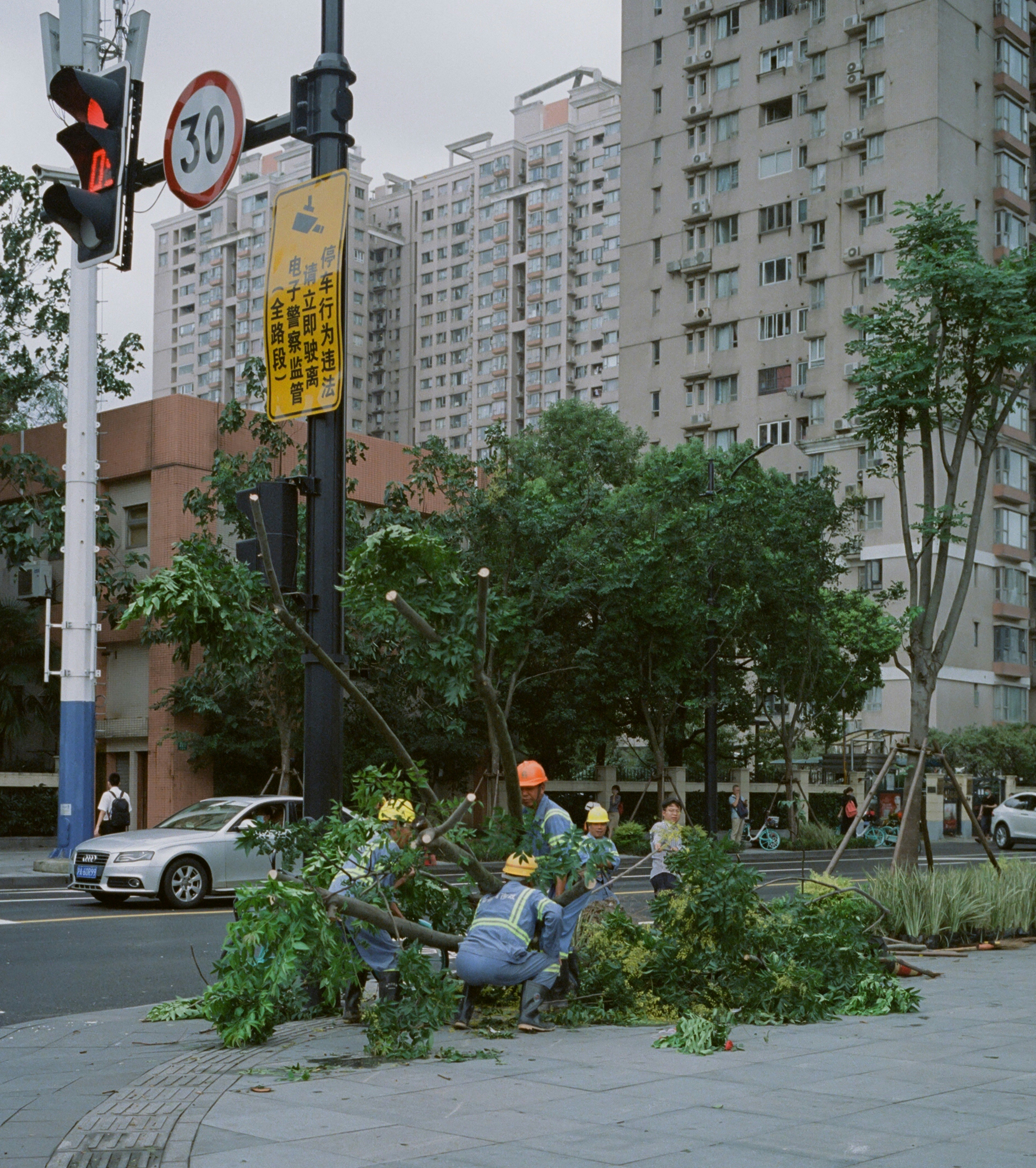 City workers engaged in tree trimming and maintenance on a busy street corner amidst urban buildings. Traffic signals and signs frame the scene.