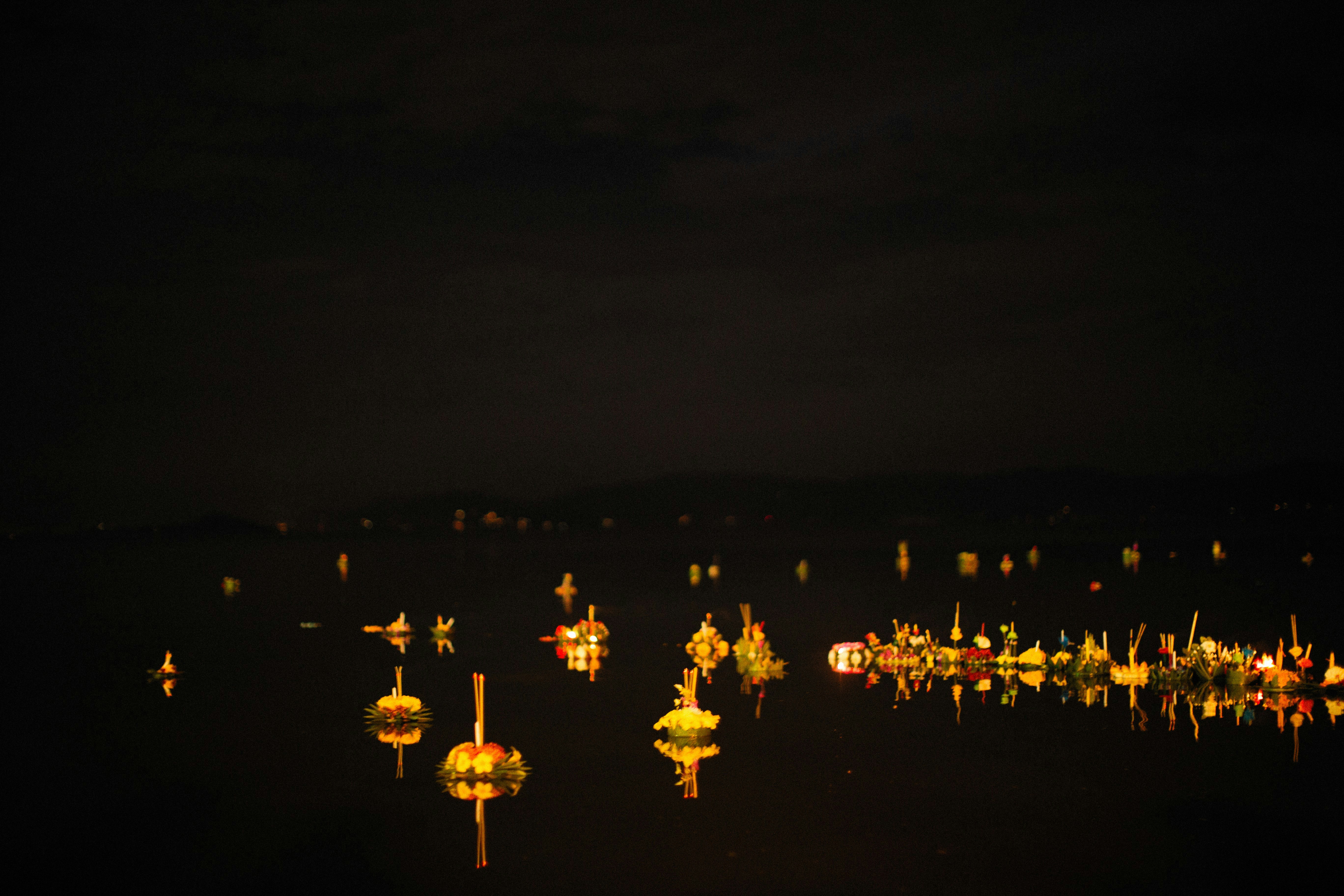 Glowing Lily Beds on a Moonlit Lake