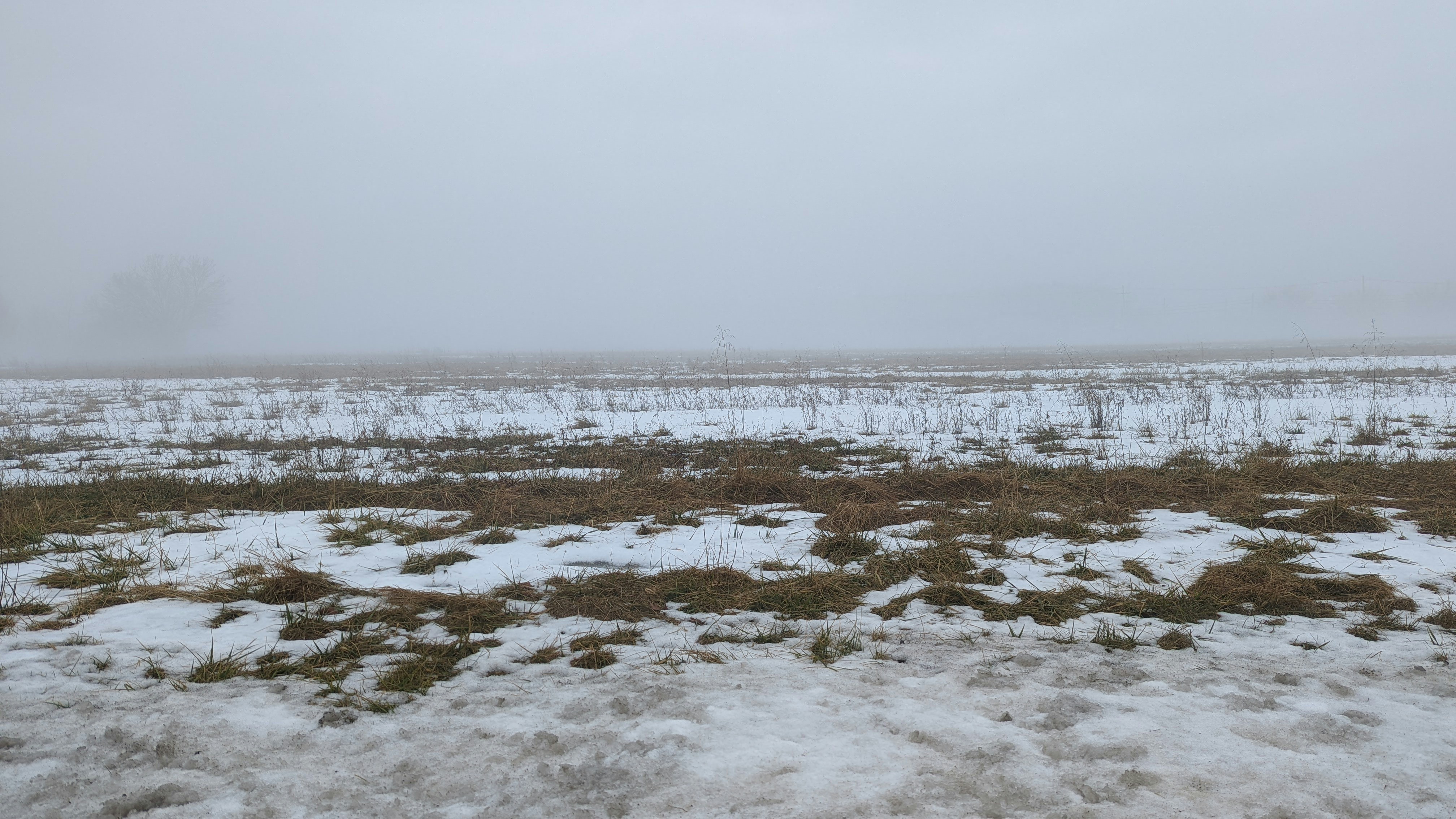 A field covered in snow and grass covered in snow photo – Free Nature ...