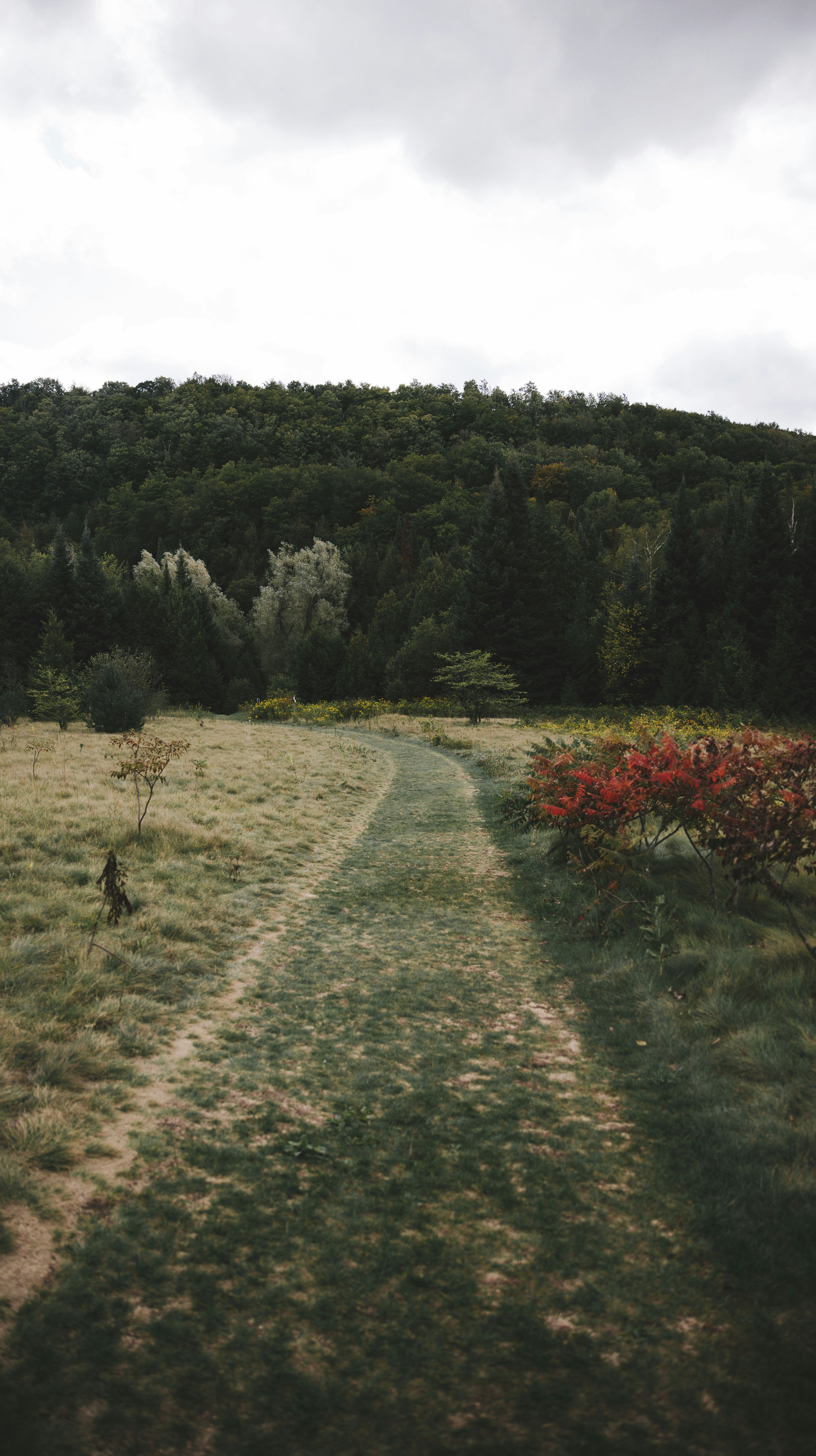 Country Images Tumblr