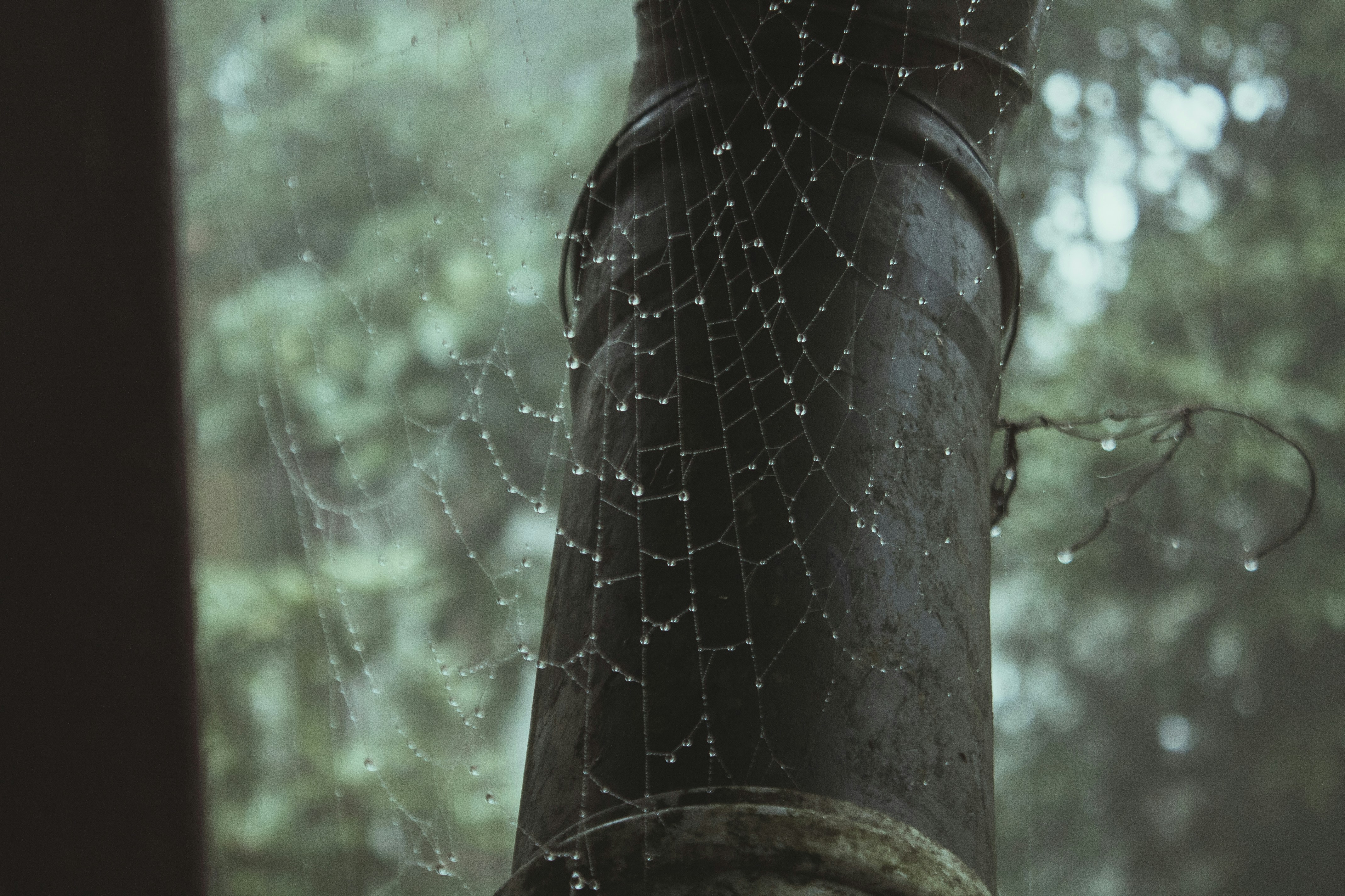 Dew-Glazed Web Framed by a Weathered Pillar