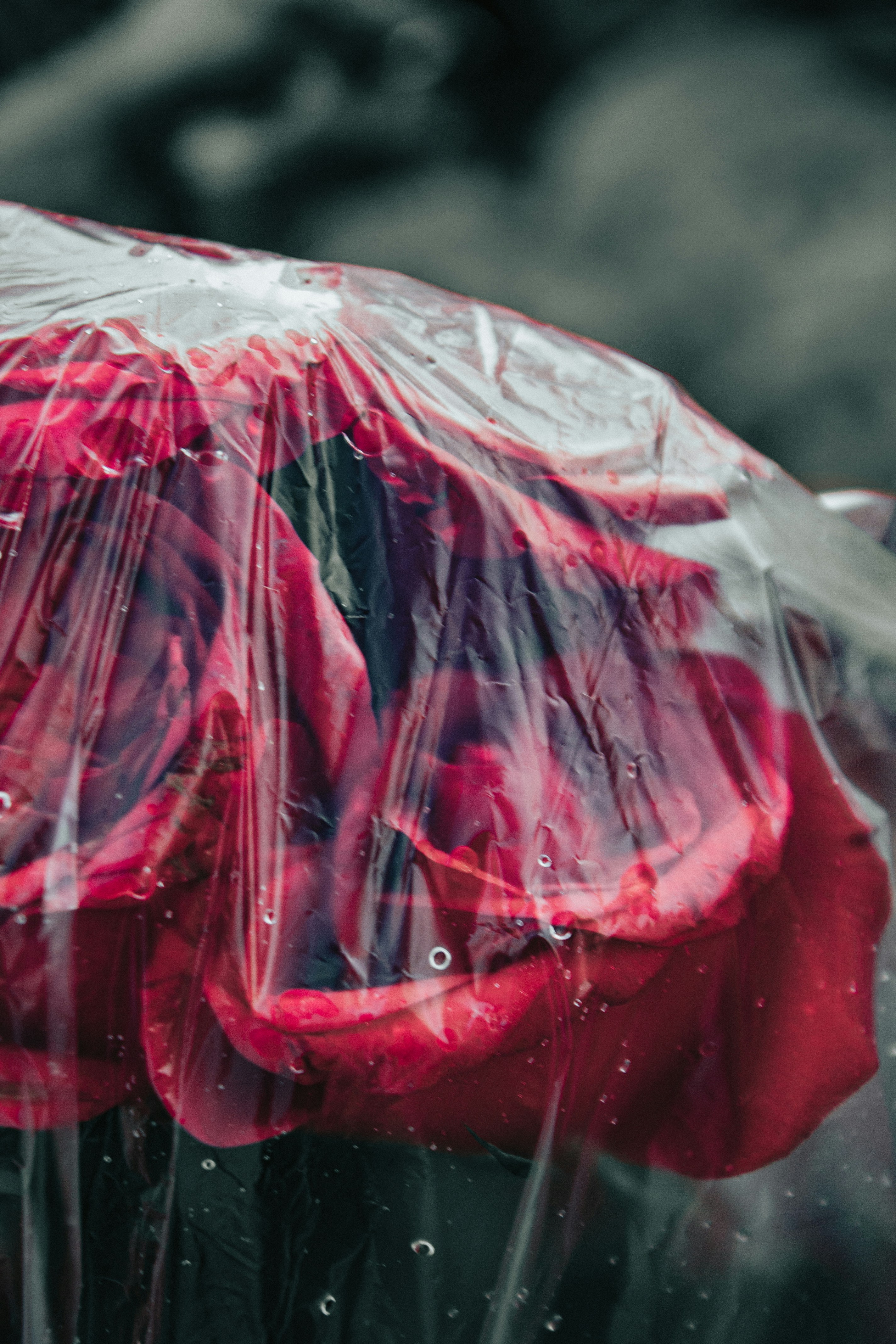 Crimson Veil: Close-up of red fabric trapped beneath a translucent sheet