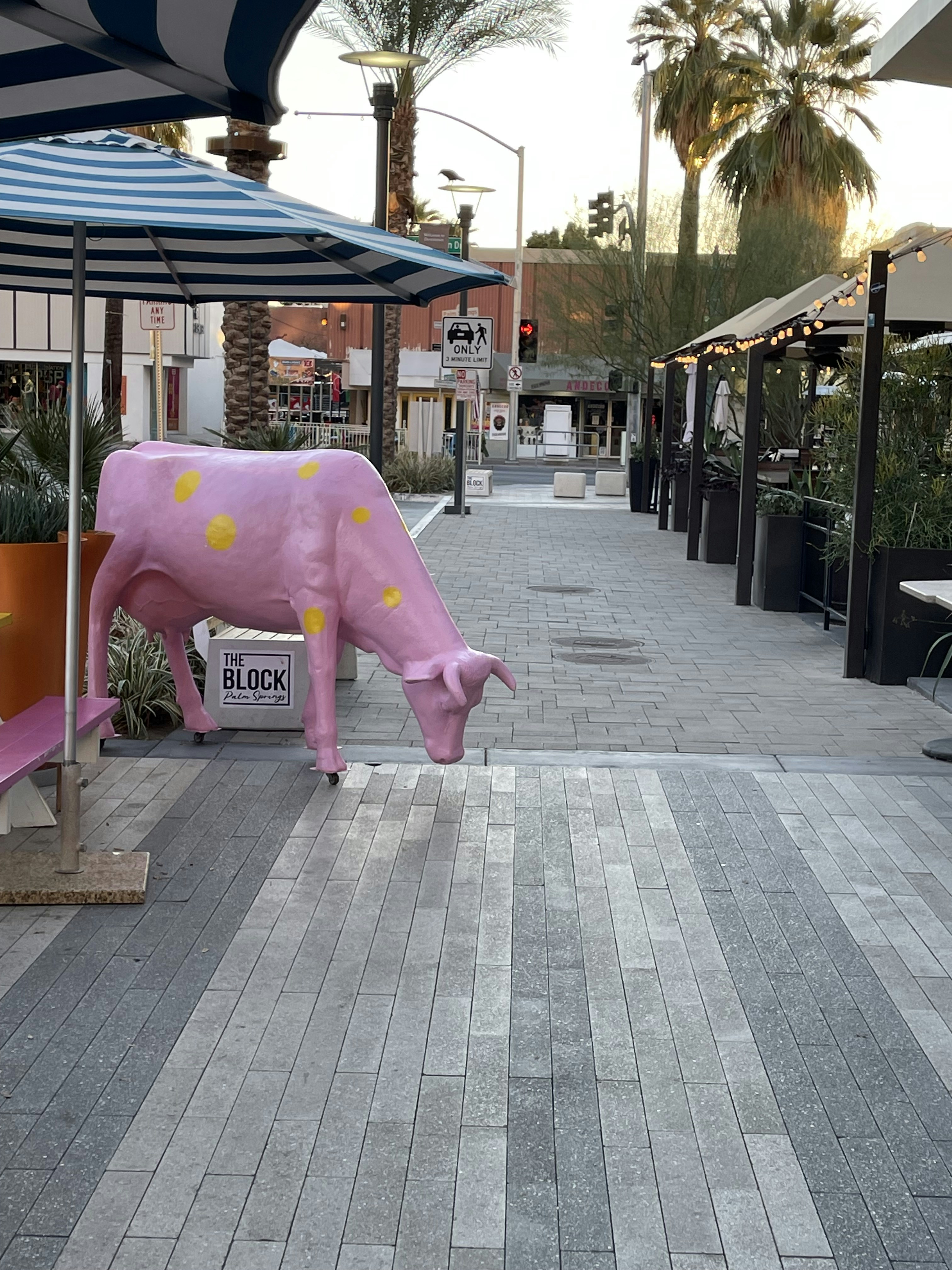 Foto Una estatua de una vaca rosa en una acera – Imagen Palm Springs ...