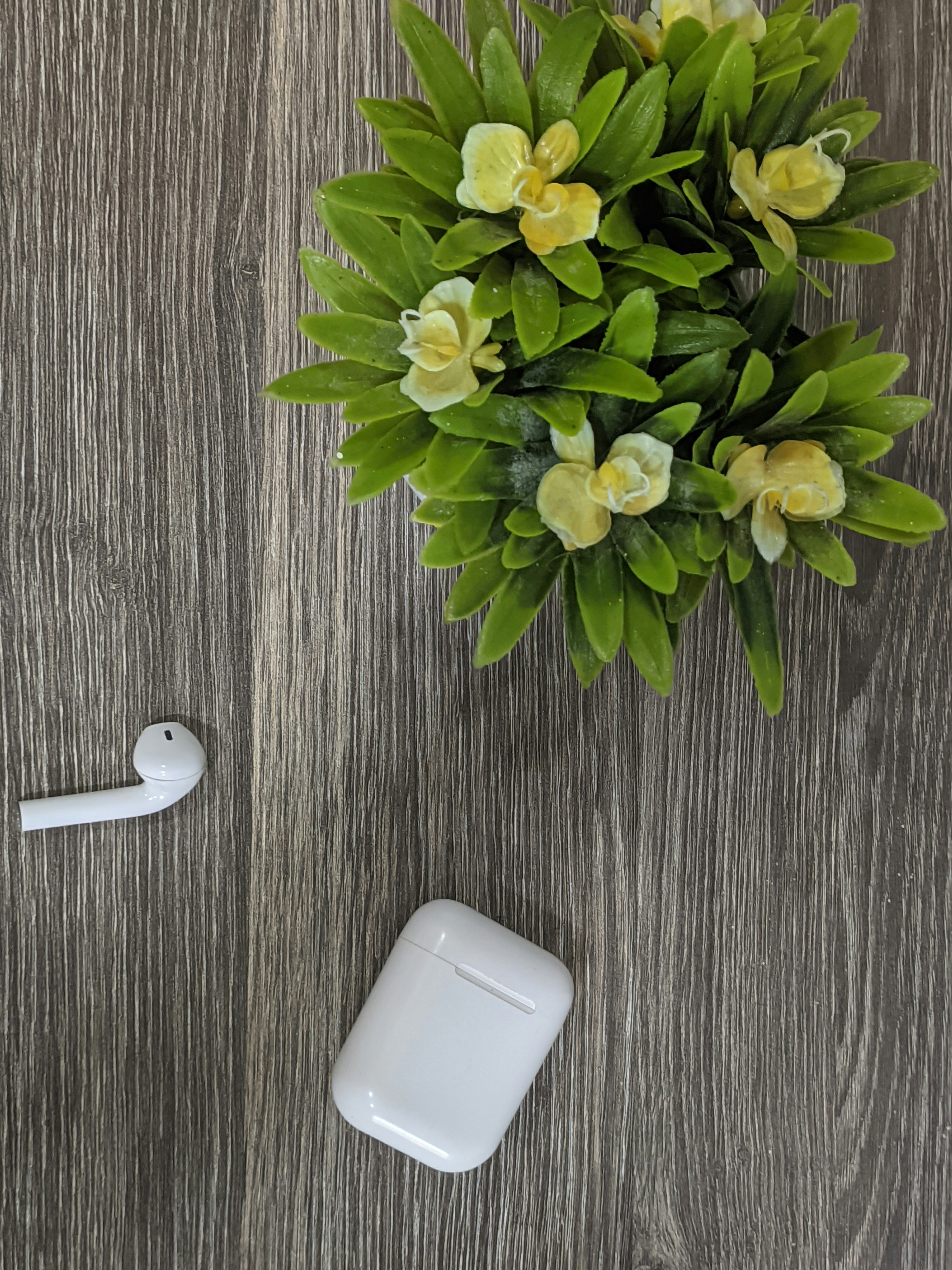 Wireless earbuds and charging case placed beside a vibrant artificial plant on a wooden surface.