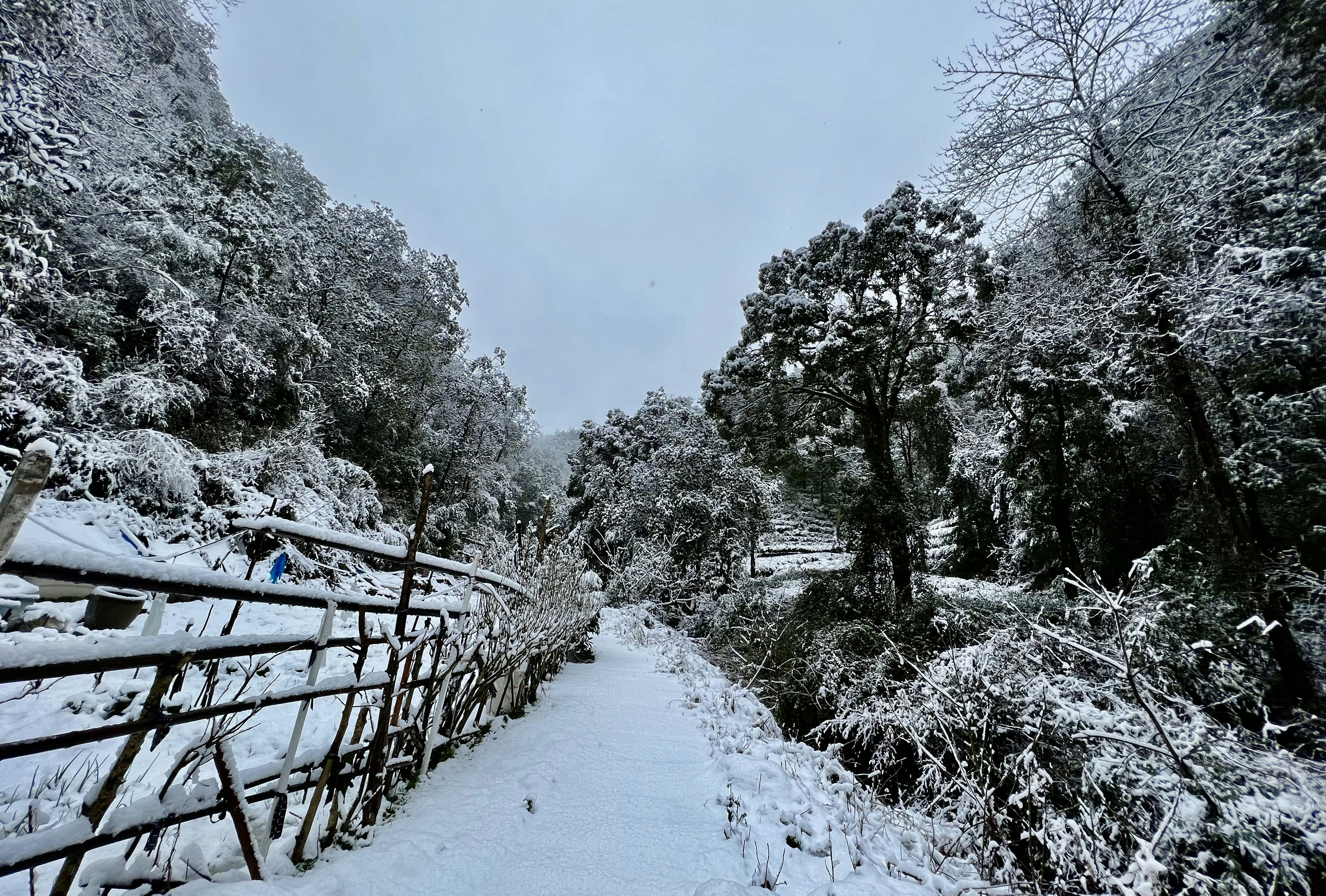 Snowbound Path: A Fence-Lined Corridor Toward the Frosty Horizon