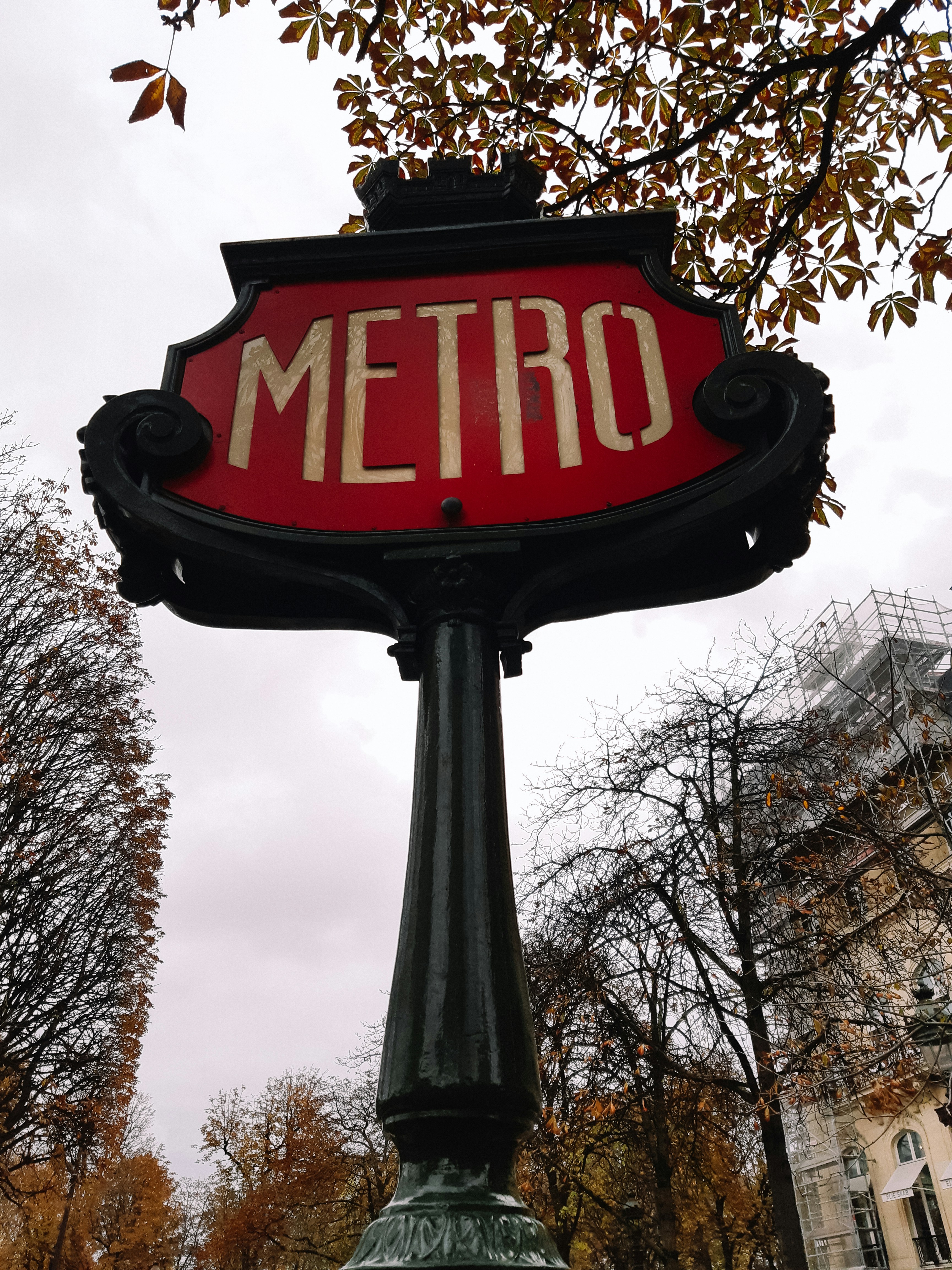 Red Metro Sign in a Fall Canopy: A Low-Angle City Portrait