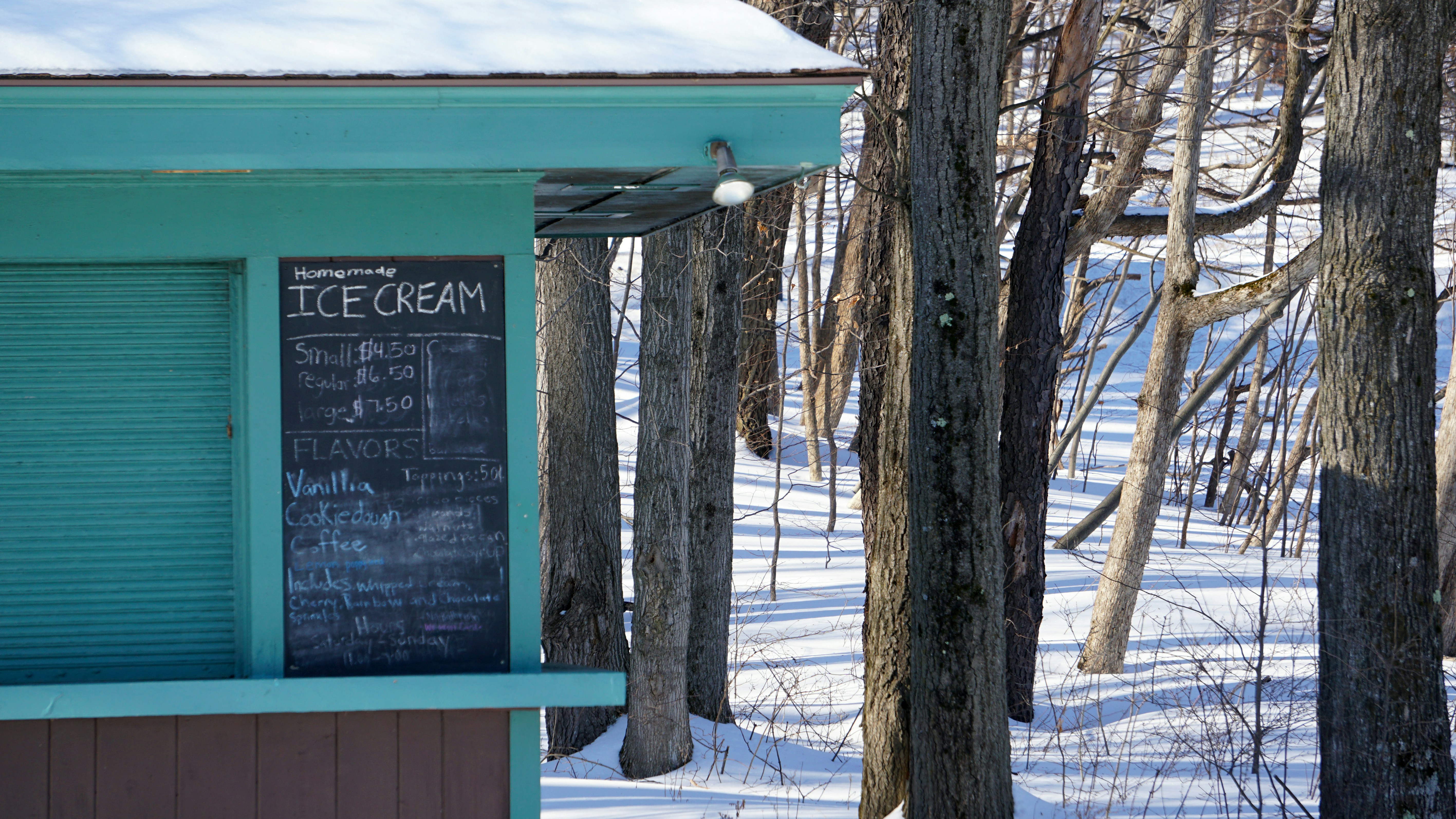 Turquoise Ice-Cream Kiosk Anchored in a Snowy Pinescape